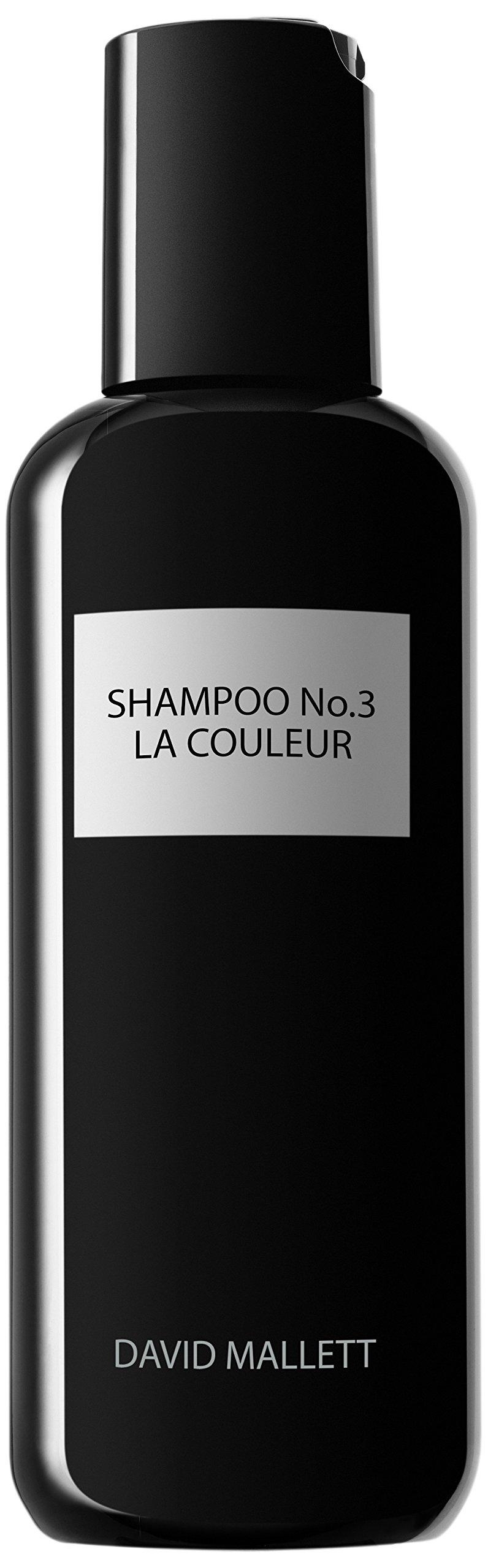 David Mallett Shampoo No. 3 La Couleur 250 ml | Premium Color Care for ...
