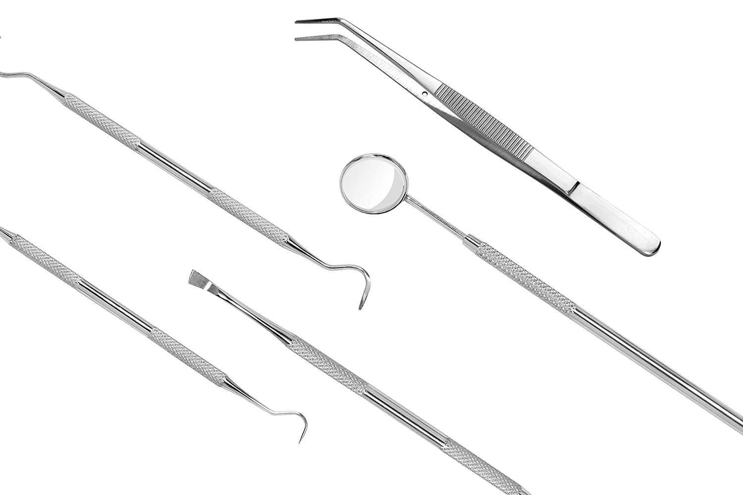Dental Tools Pack - Stainless Steel Teeth Cleaning Kit for Dentist ...