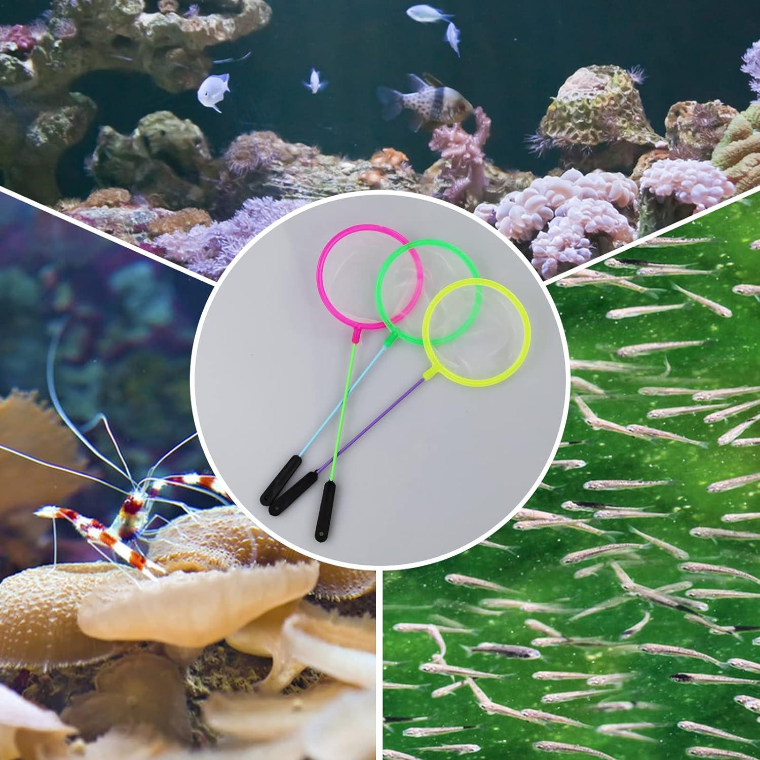 Brine Shrimp Net Small Aquarium Fish Net Shrimp Separation Net for ...