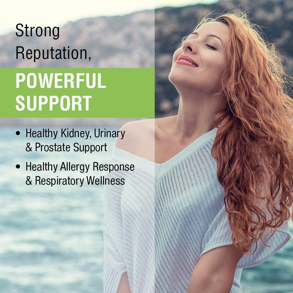 Solaray Nettle Leaf 300mg Capsules for Kidney, Urinary & Prostate ...