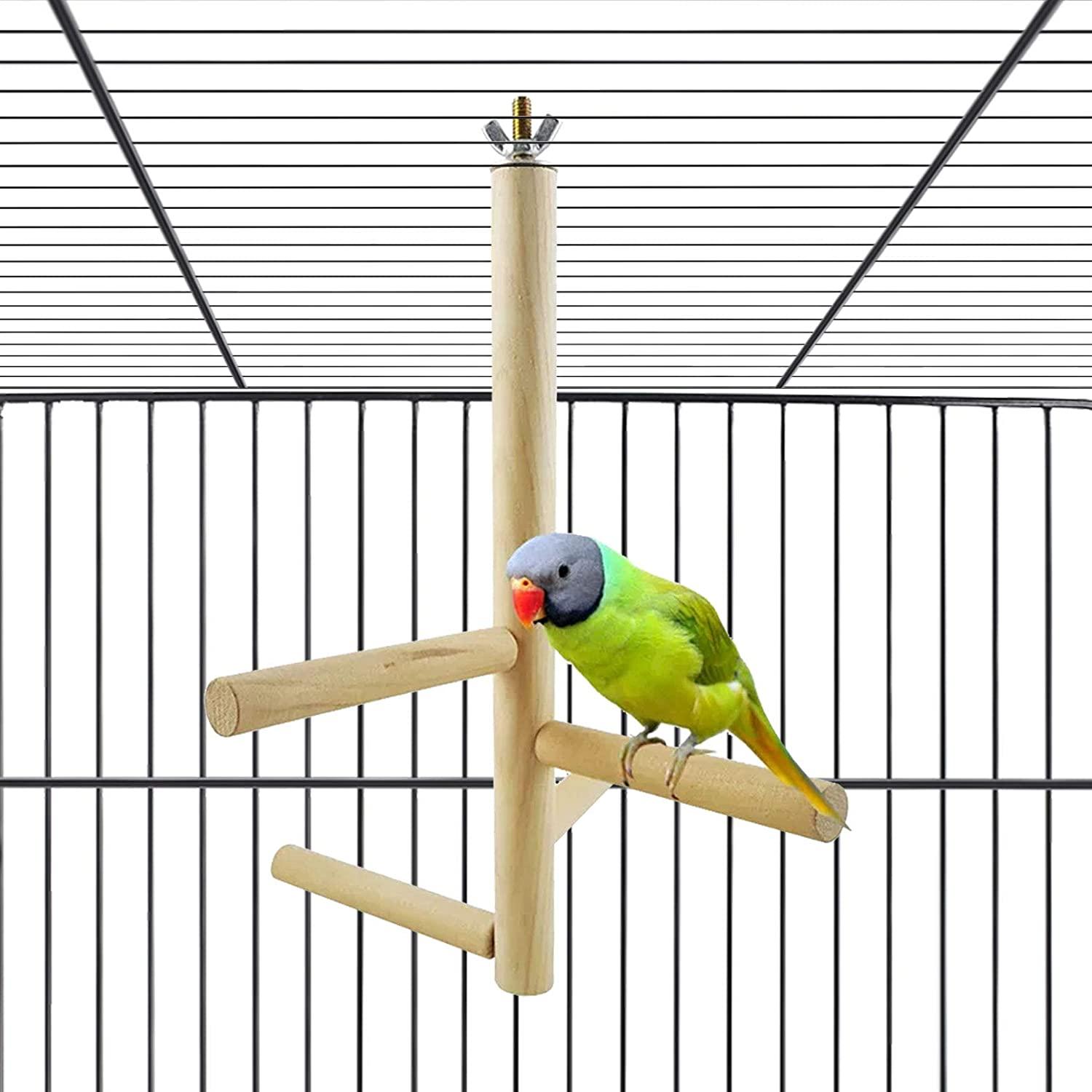 Natural Wood Parakeet Perch Stand for Small to Medium Parrots - Ideal ...