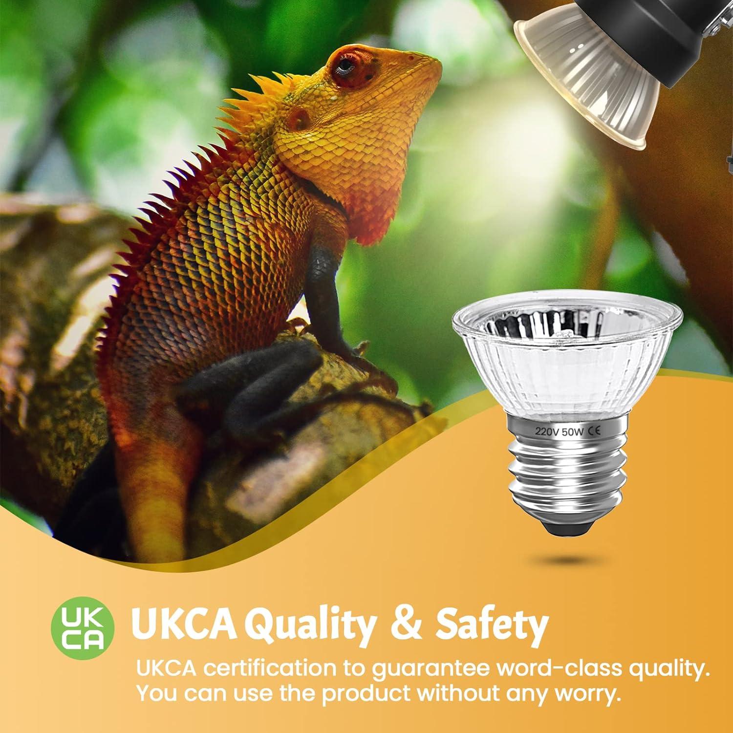 tortoise lighting kit