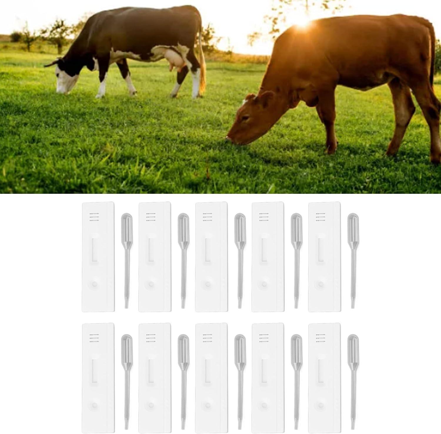 Buy Cow Pregnancy Test Kit | Quick & Compact Detection for Livestock ...
