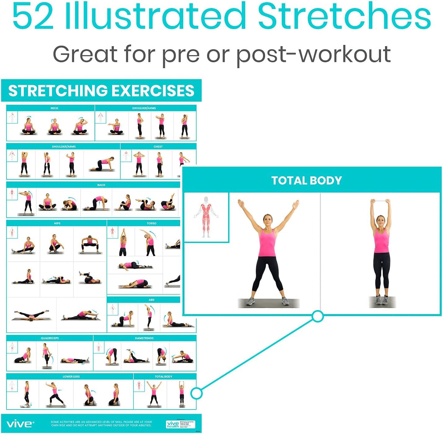 Vive Workout Posters 3 Pack - Bodyweight Yoga Stretching Exercise ...