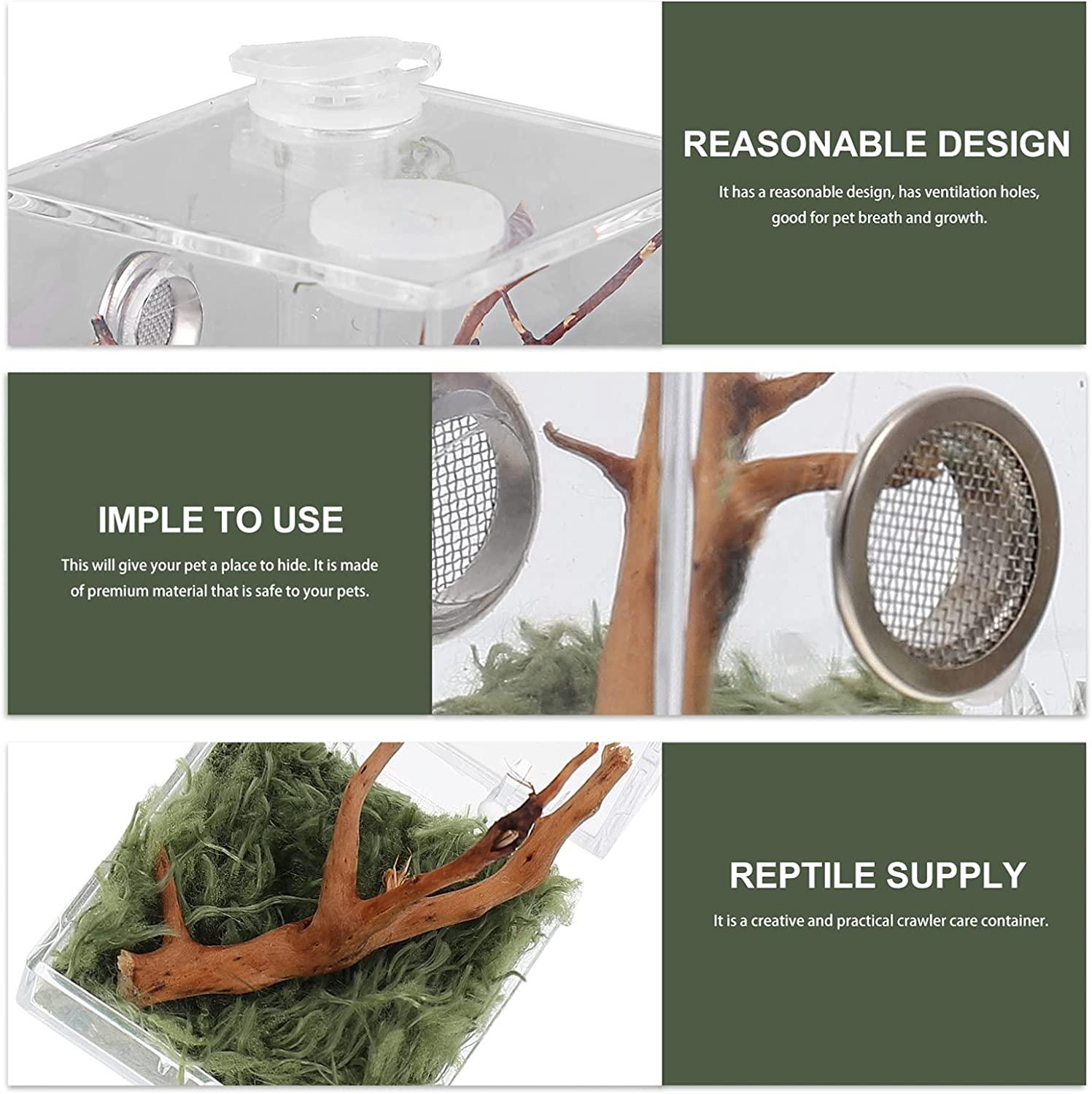 NUOBESTY 2 Set Spider & Snail Terrarium Kit | Acrylic Critter Keeper ...