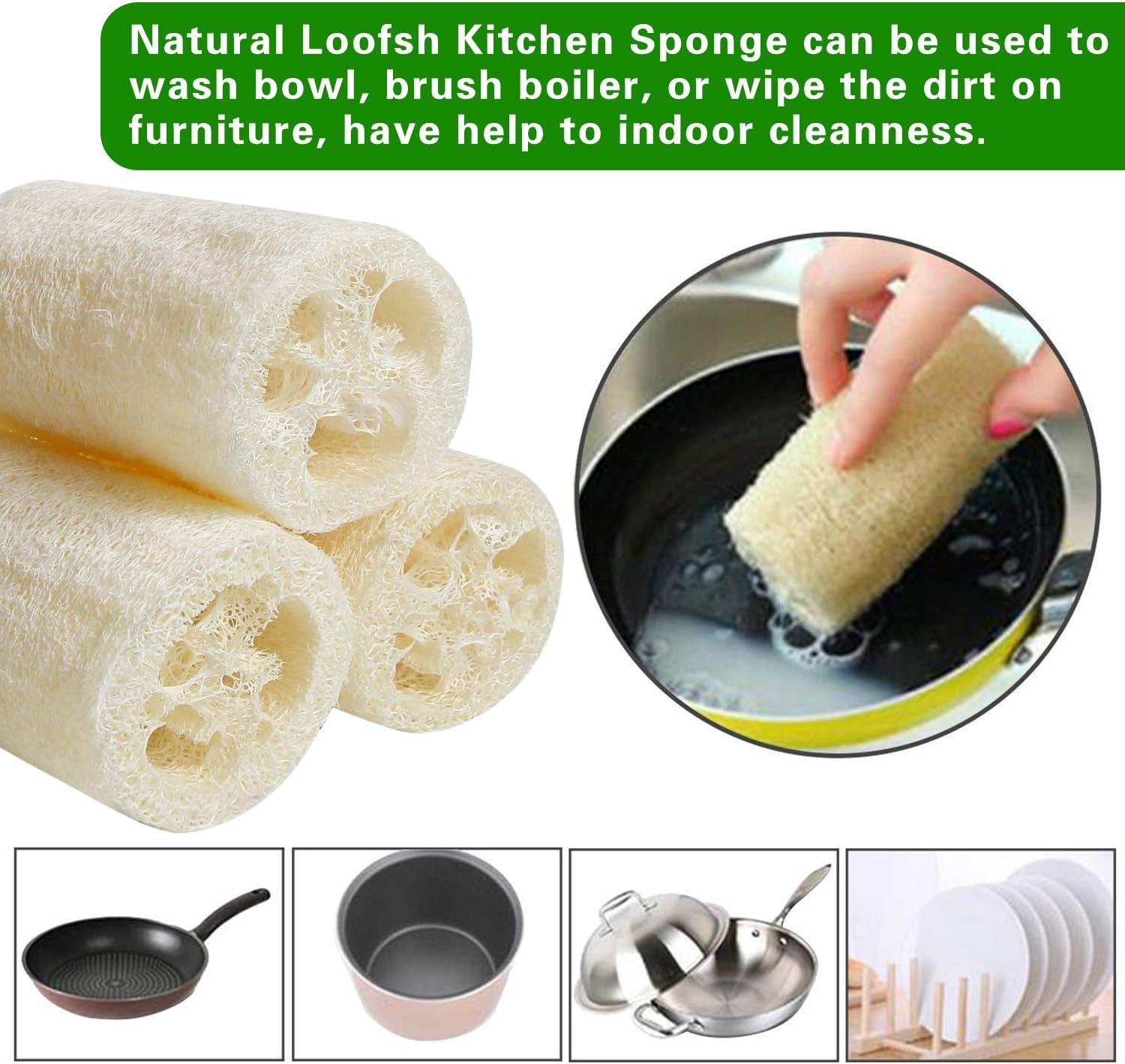 6 Pieces Natural Luffa Sponge - 10cm Exfoliating Cucumbers for Bath ...