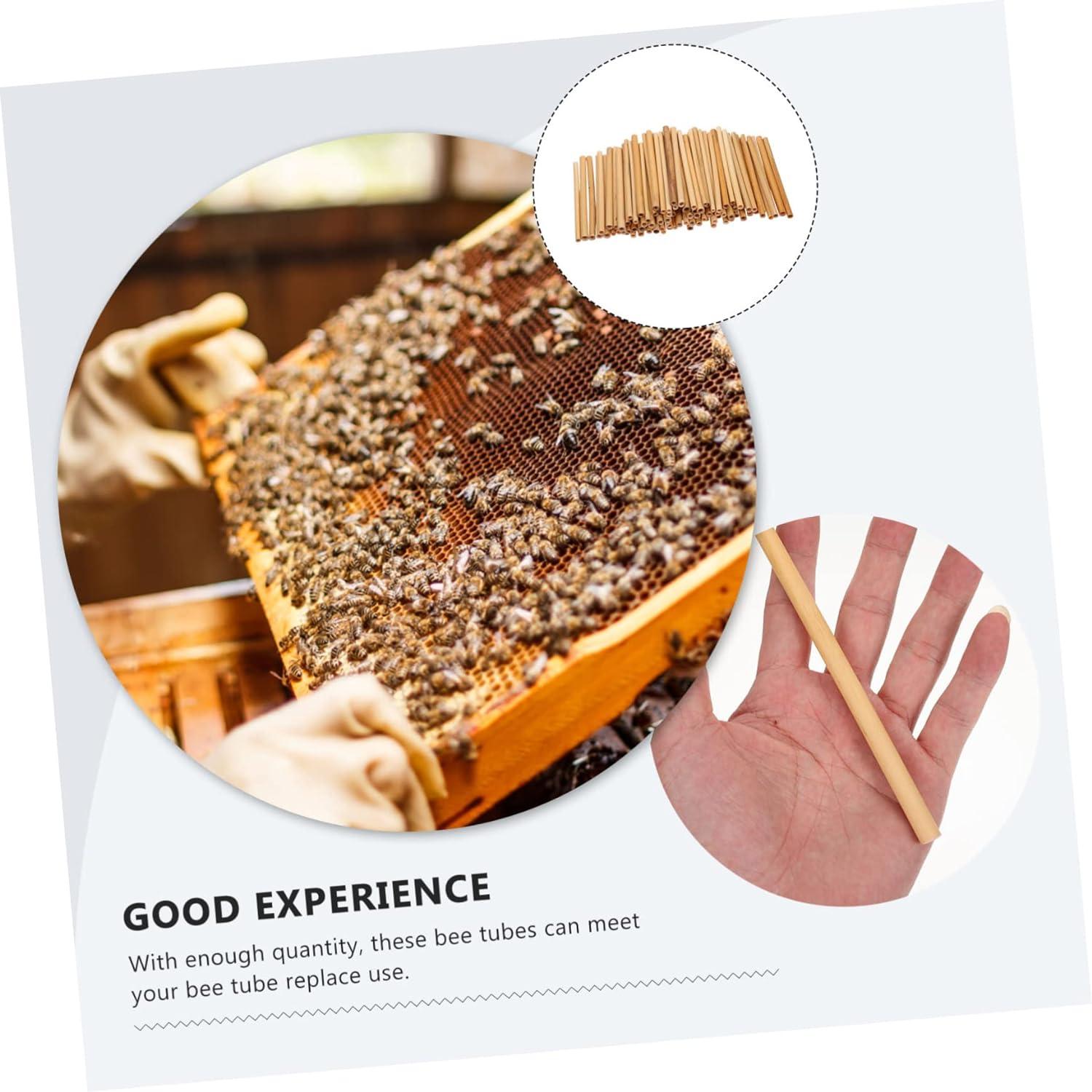 Bee House Bee Tubes 50pcs:Mason Bee Tube Refill Ground Mason Bees for ...