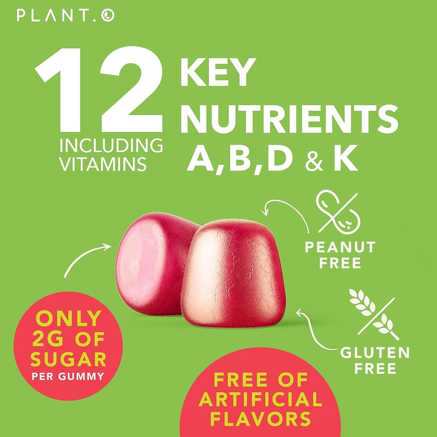 PLANT.O NUTRITION Organic Kids Multivitamin Gummies - USDA Certified ...