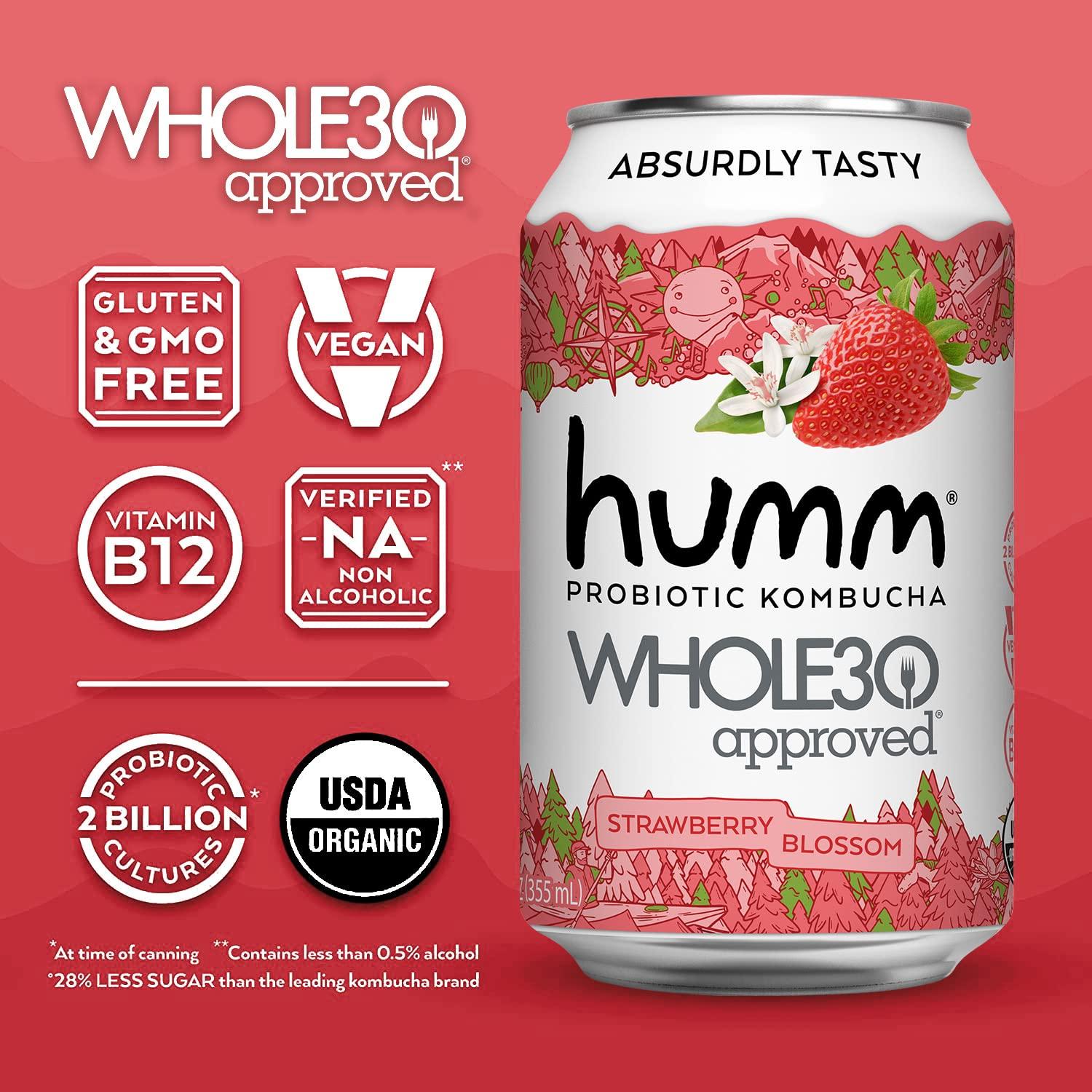 Humm Organic Vegan Strawberry Blossom Kombucha - Whole30 Approved, 2 ...