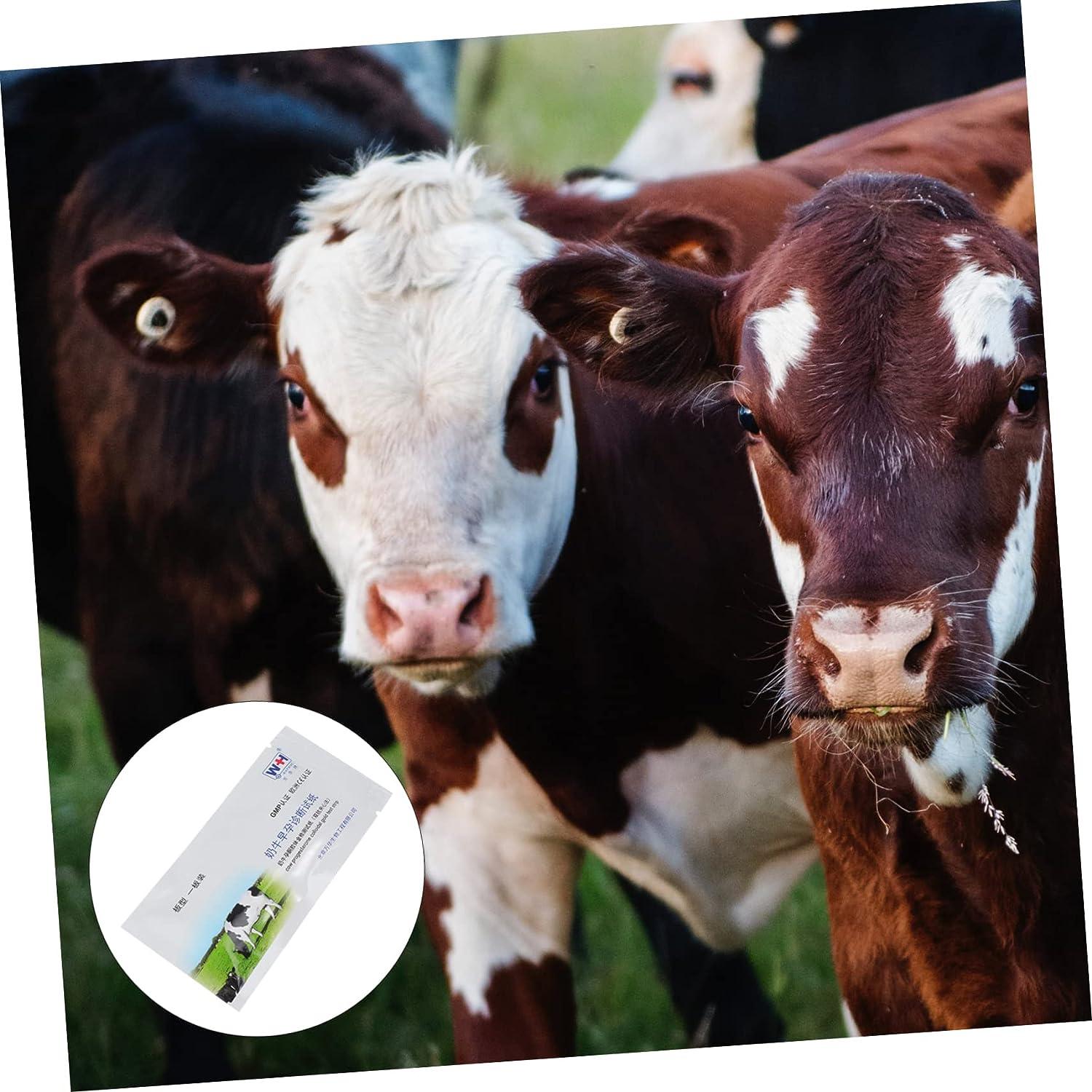 Ipetboom Livestock Pregnancy Test Kit - 3 Pcs Cow & Pig Tester Strips ...