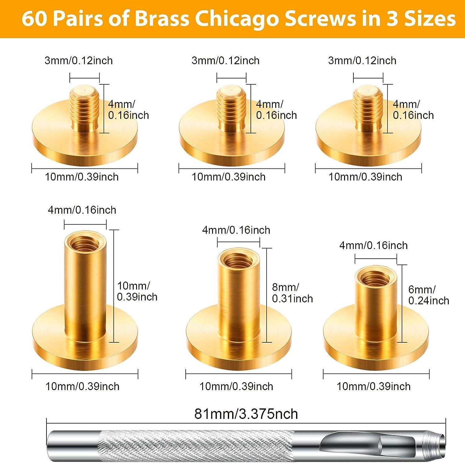 60 Pairs 3 Sizes Brass Chicago Screws with Hole Punch Tool - DIY ...