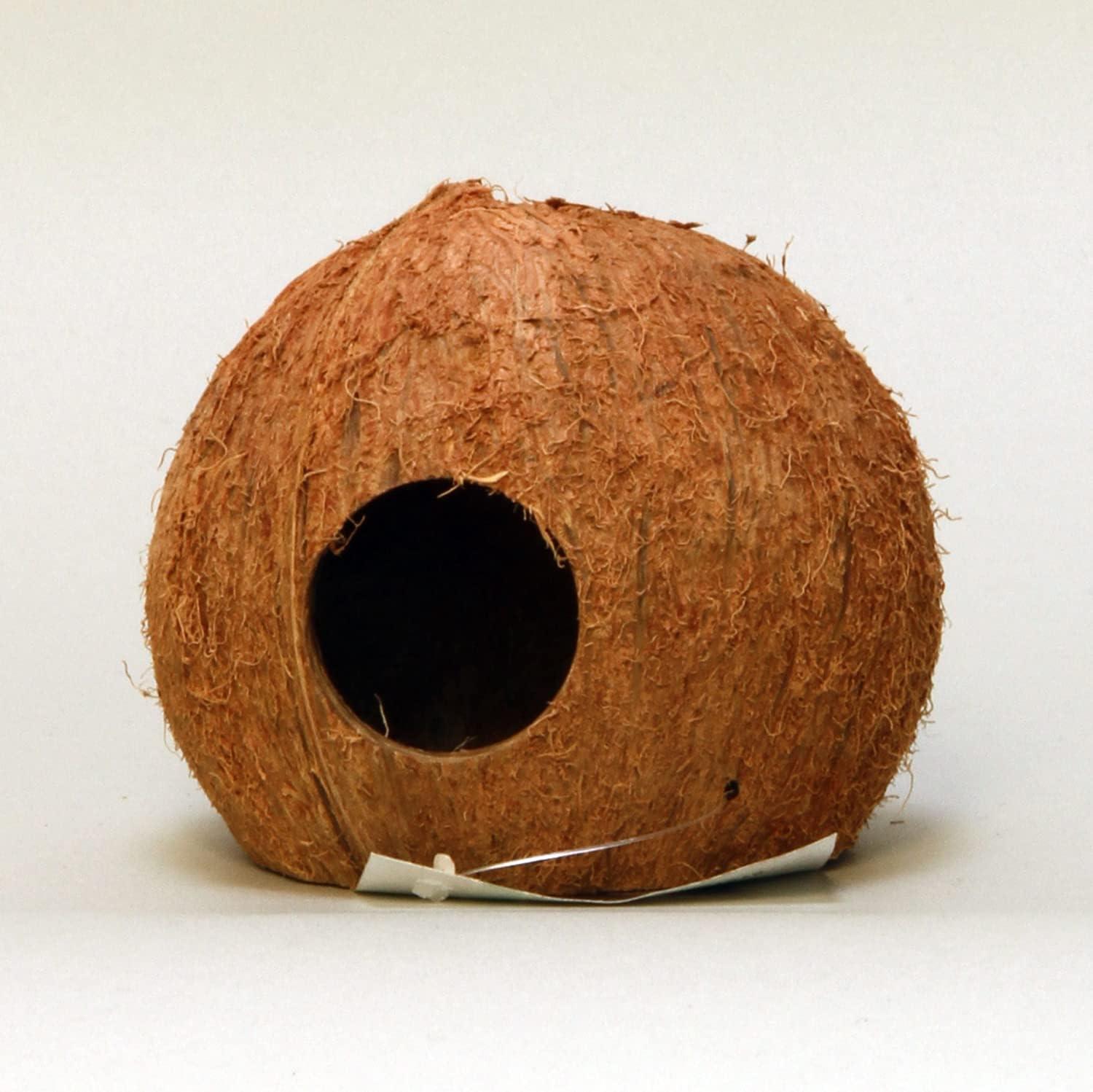 JBL 61512 Cocos Cava Coconut Shell Cave for Aquariums & Terrariums ...
