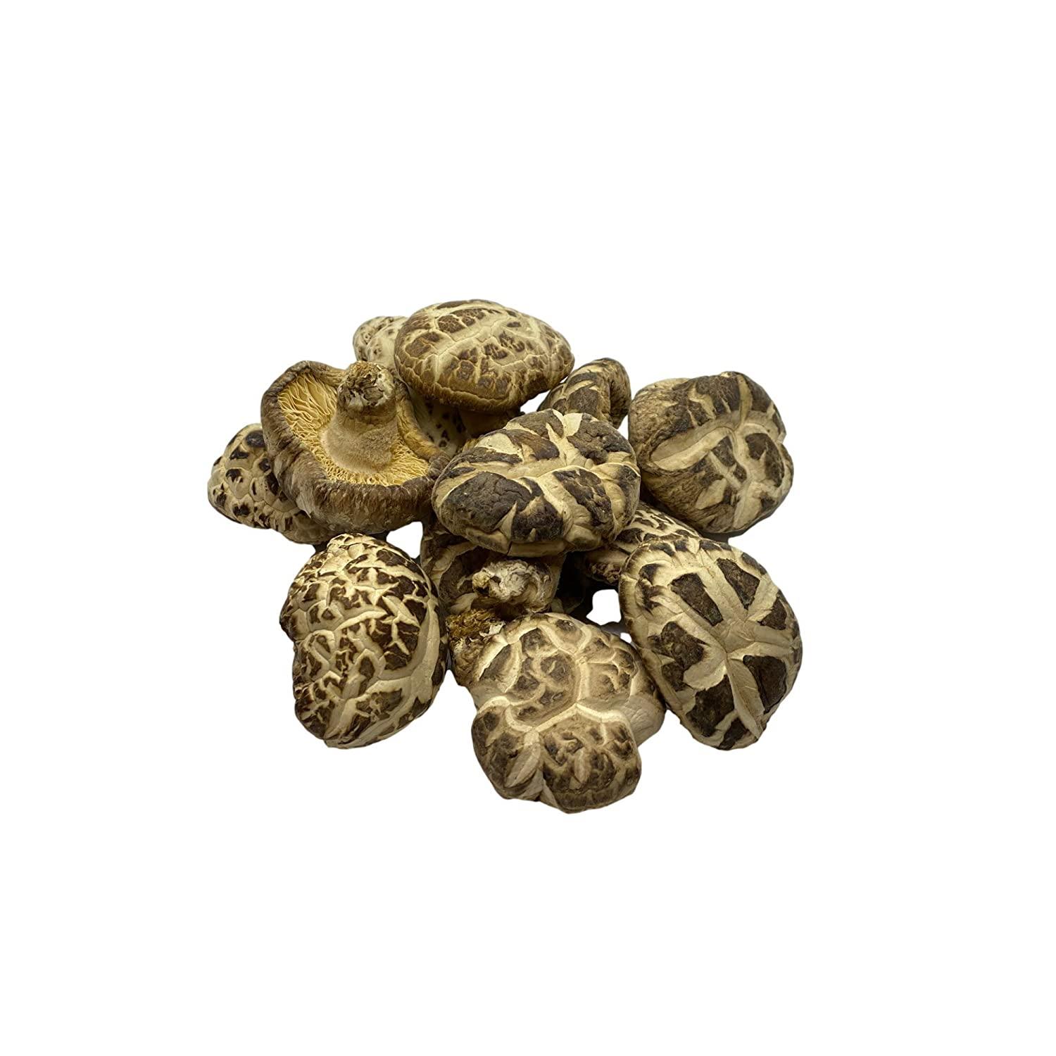 Premium Japanese White Flower Dried Shiitake Mushrooms - Grade AAA - 16 ...