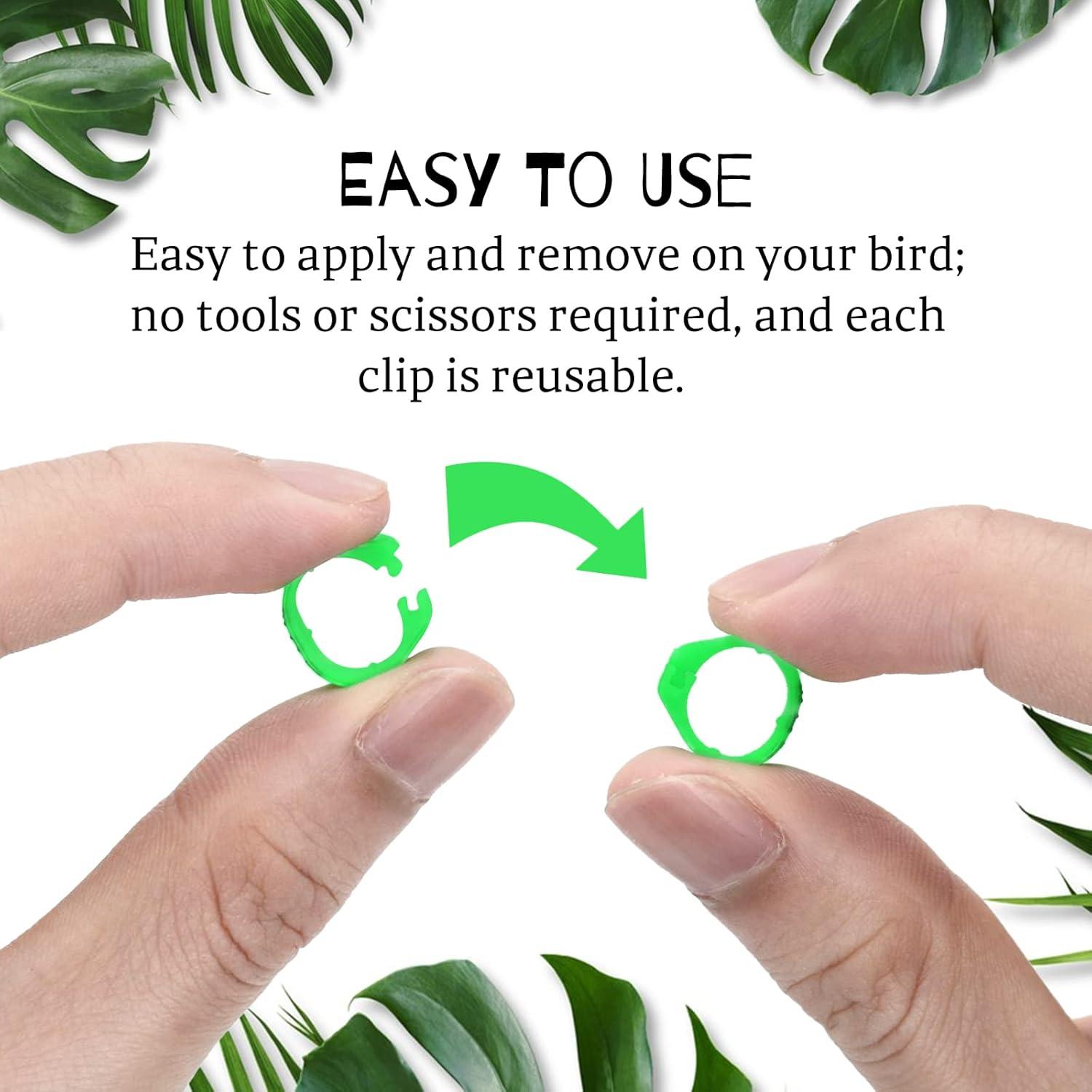 Andiker 100 Pigeon Identification Rings - 8mm Plastic Leg Bands for ...