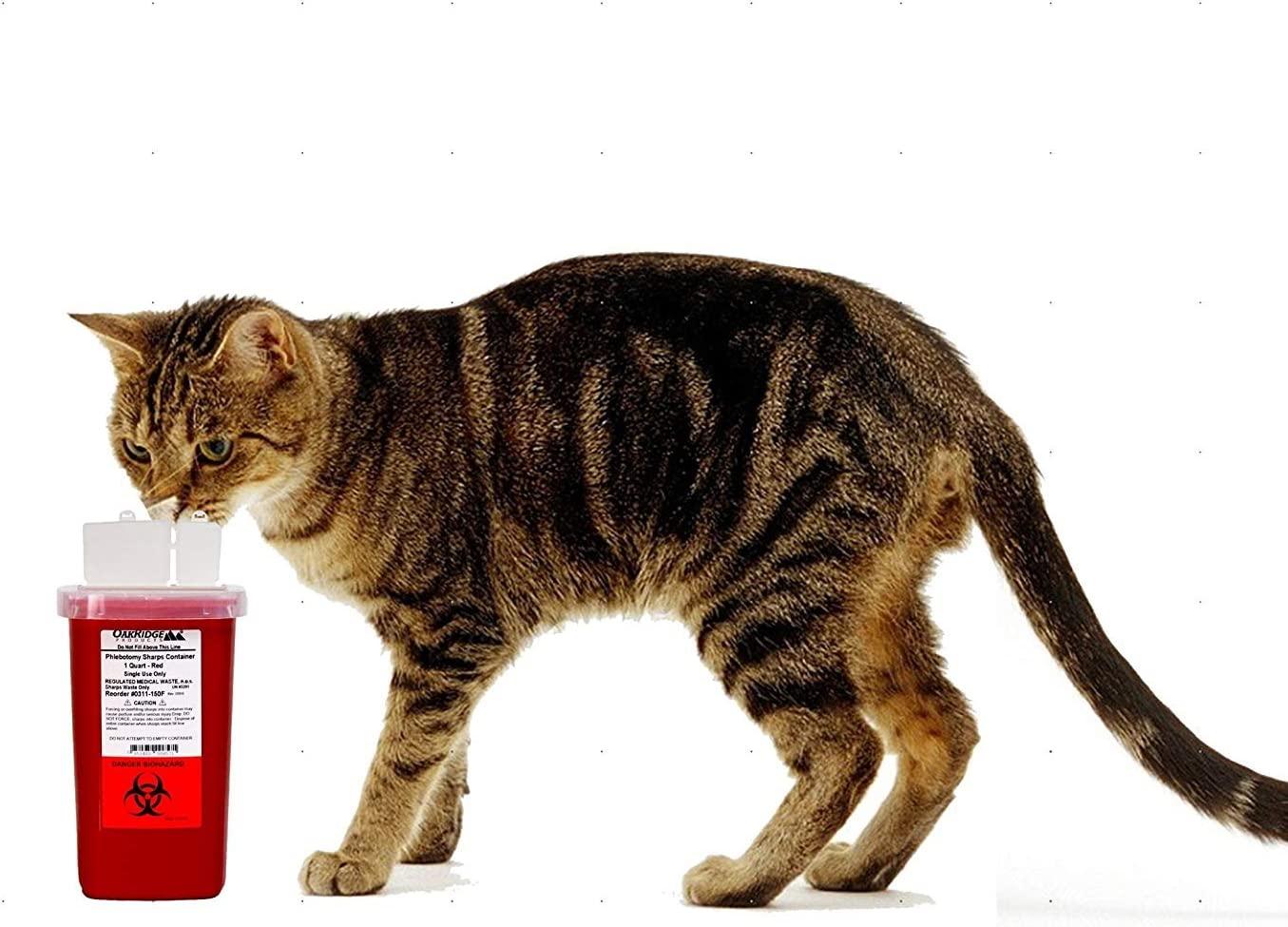 Oakridge Products 1 Quart Sharps & Needle Container with Integrated ...