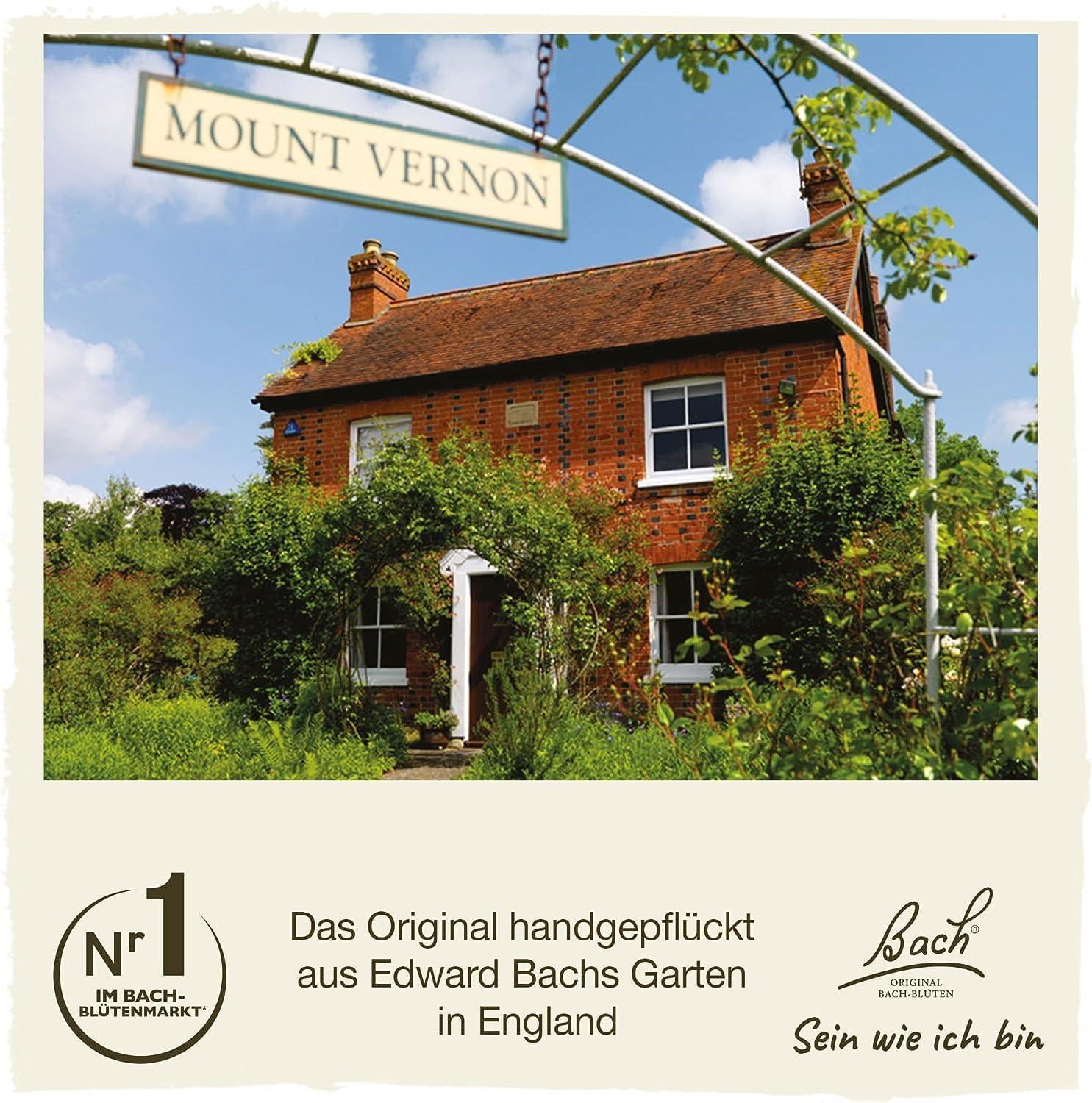 Original Bach Flower Drops No. 23 Olive | Mindfulness & Well-being ...