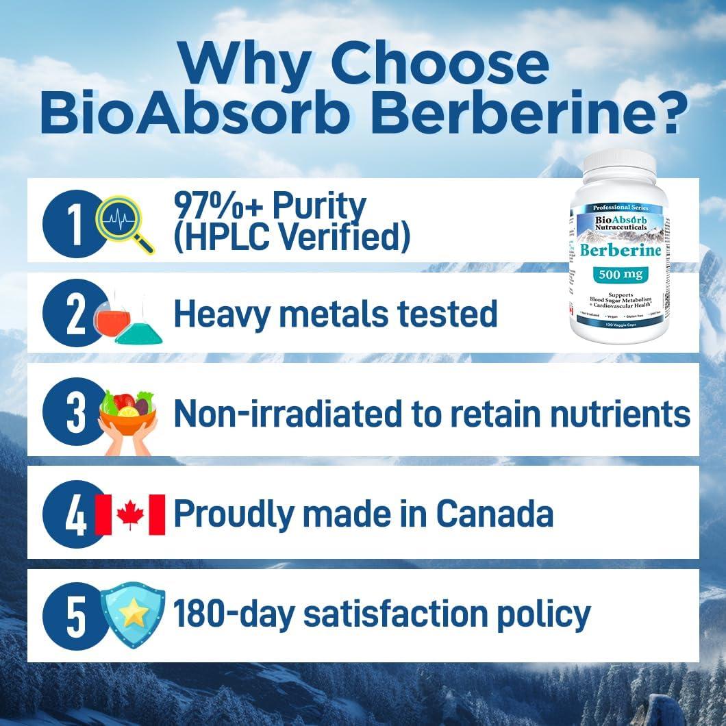 Berberine 500mg Supplement 97% Tested Purity Berberine Supplements ...