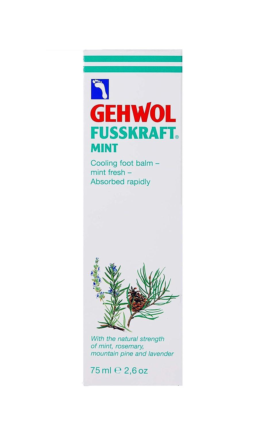 GEHWOL Mint Foot Cream 2.6 oz - Refreshing and Nourishing Formula | Buy ...