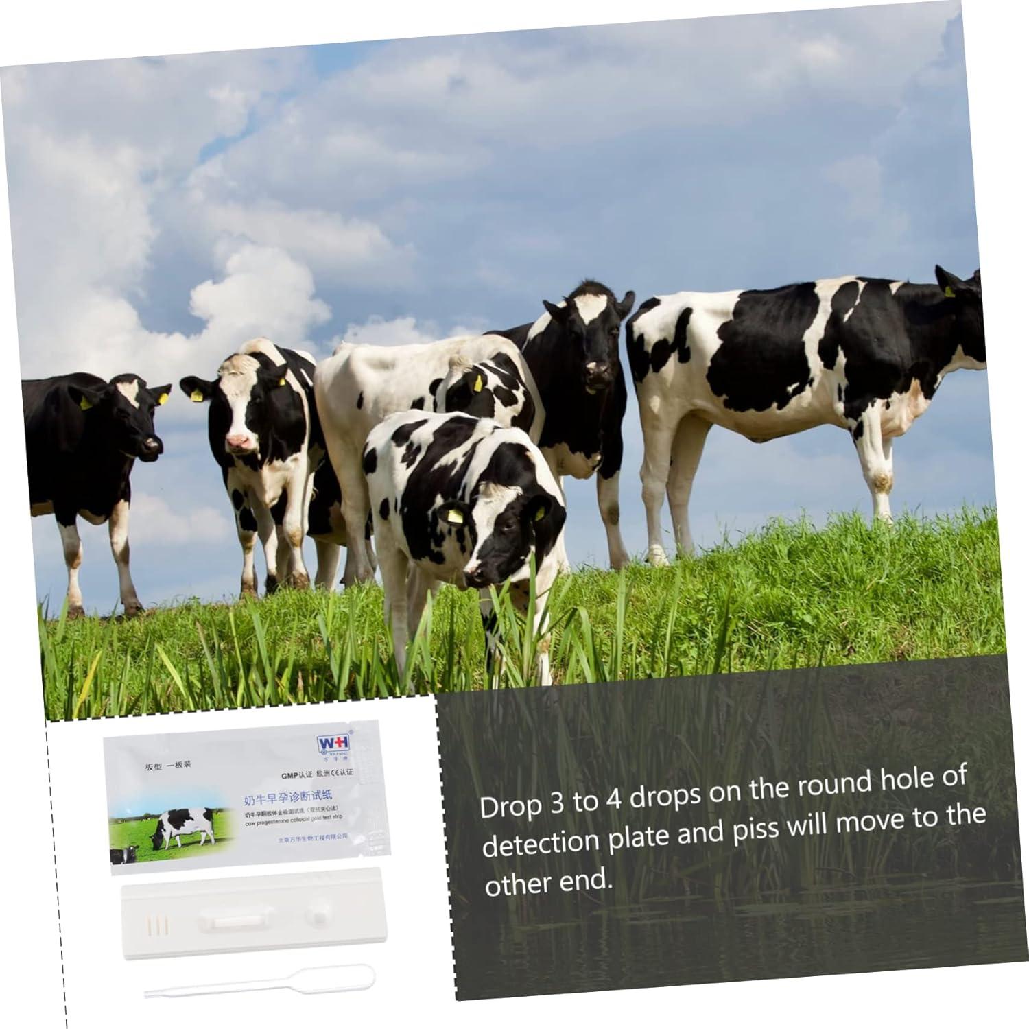 GATUIDA 2 STK Pregnancy Test Strips for Farm Animals | High Precision ...