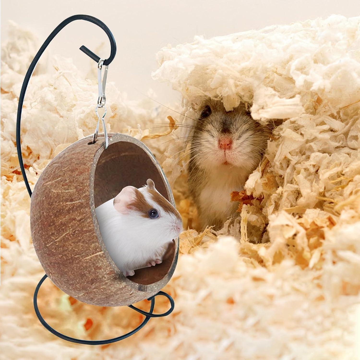 Monozoz Coconut Hamster Hiding Place | Natural Coconut Hammock ...