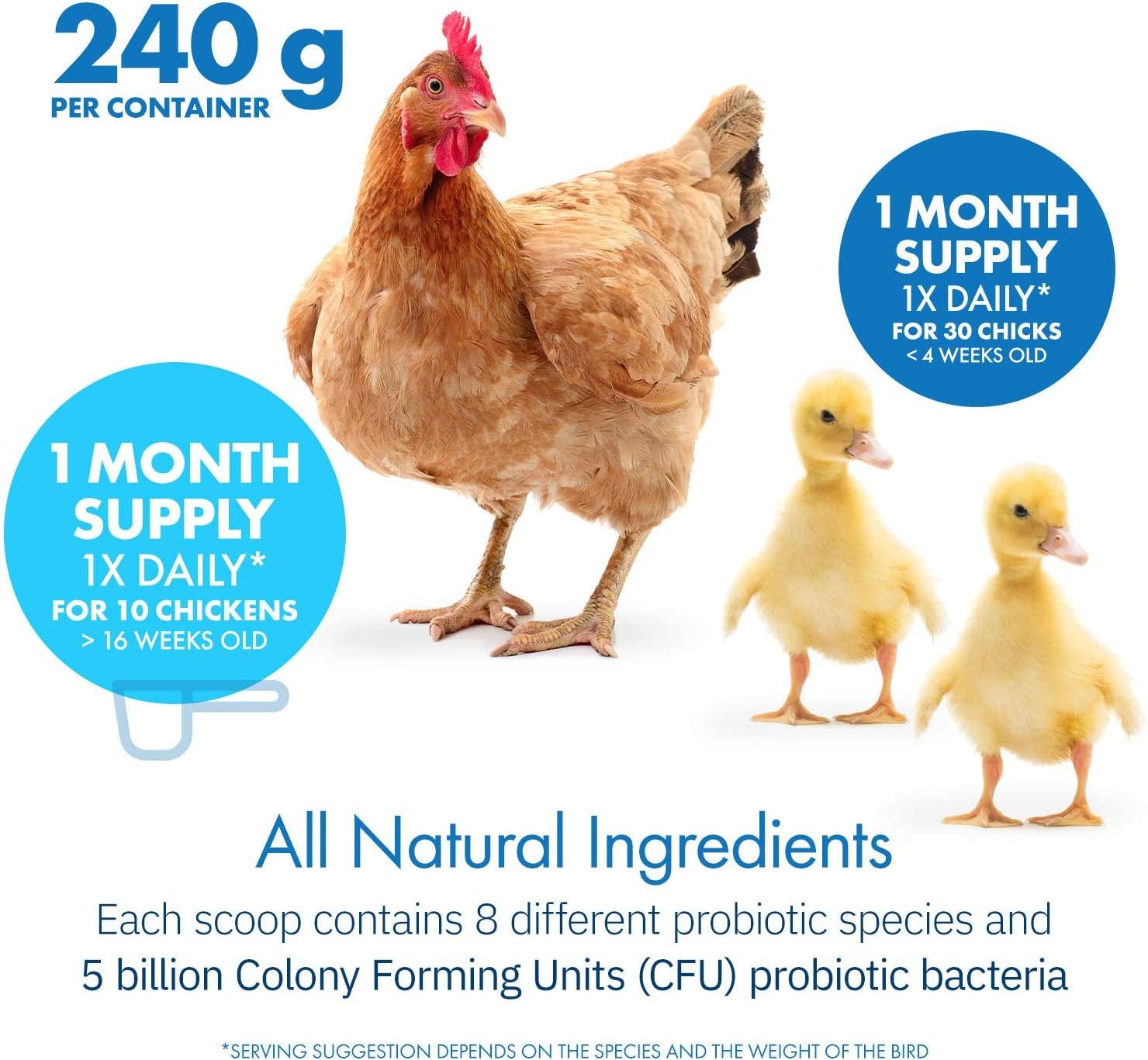 Natural Probiotics for Chickens & Poultry | Digestive Health Supplement ...