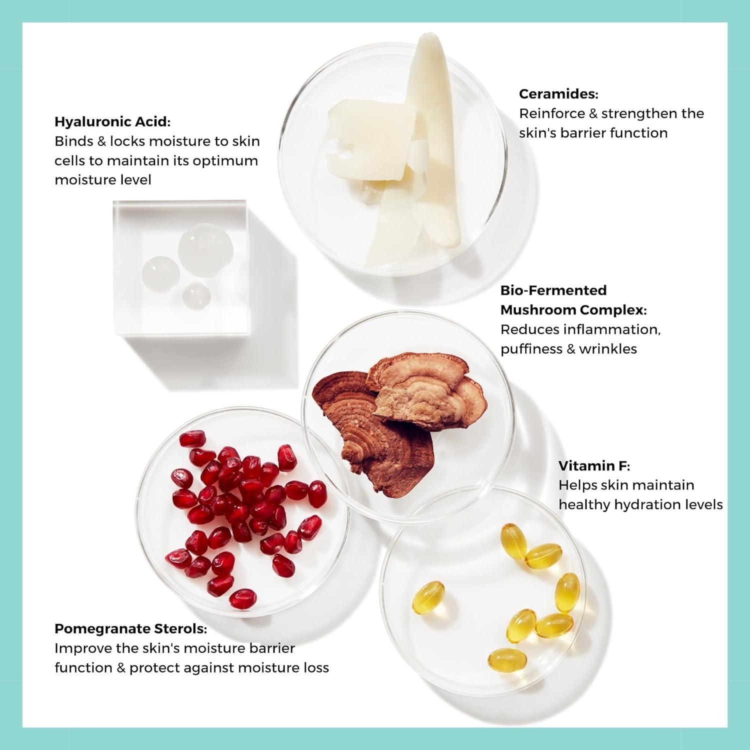 BeautyStat Ultimate Eye Perfector Bundle - Pro-Bio Moisture Cream ...