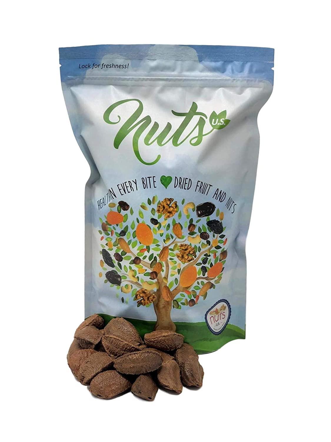 Brazil Nuts In Shell - 1 LB | Natural, Non-GMO, Fresh & Raw ...