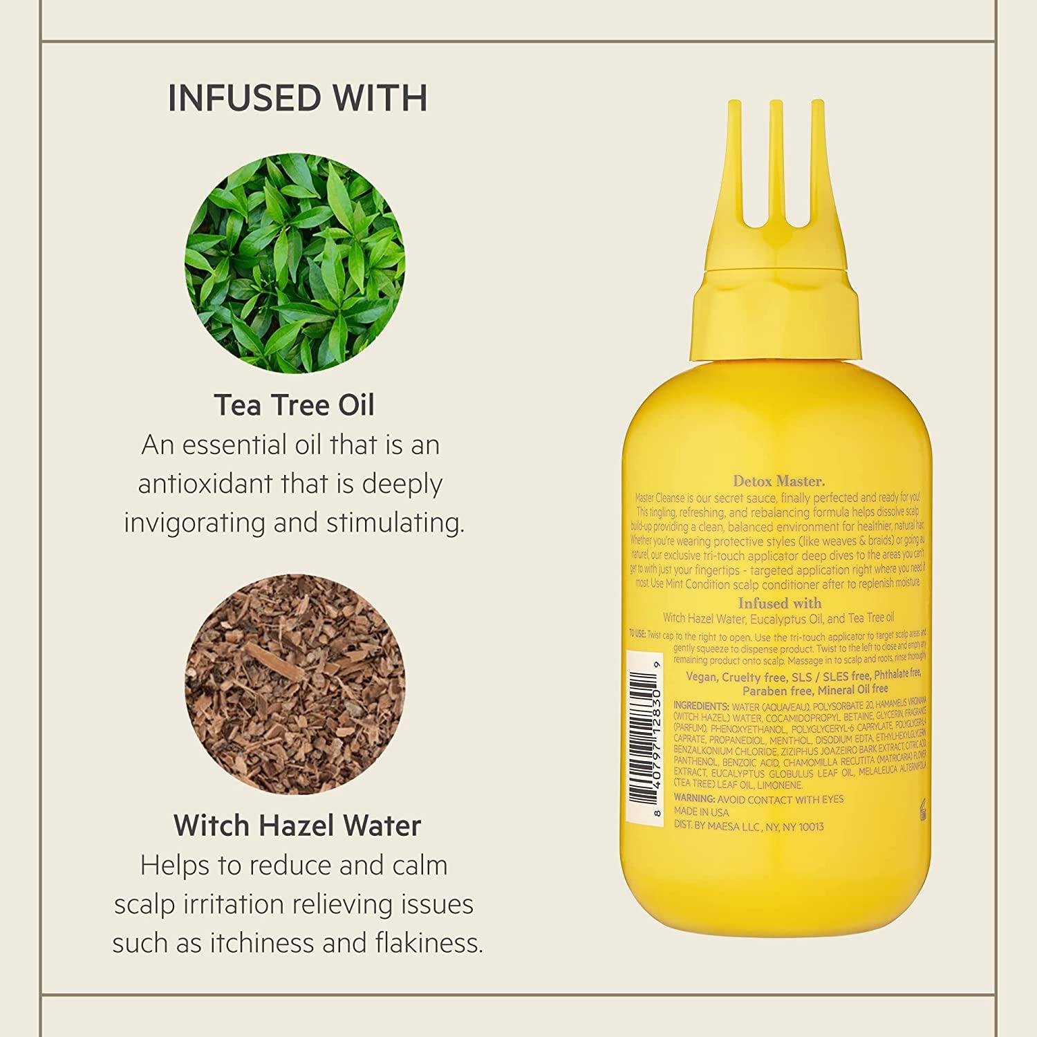 TPH BY TARAJI Master Cleanse Scalp Treatment Wash | Tea Tree Oil ...