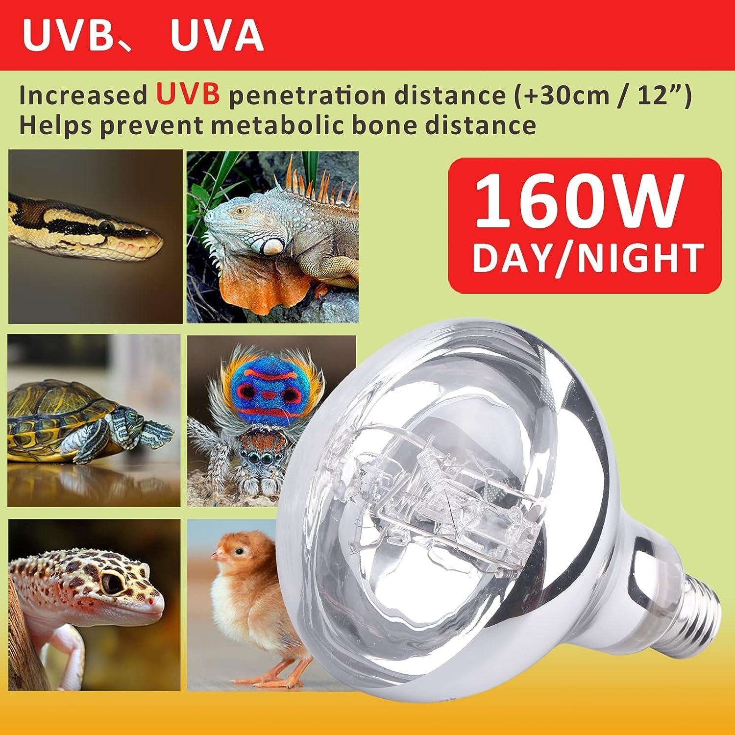 Buy Aiicioo 80W UVB Reptile Terrarium Lamp - Bright Sun for Turtles ...