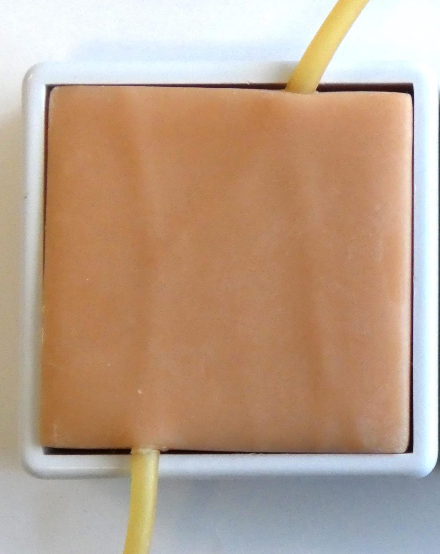 Intravenous Infusion Practice Model - IV Injection Skin Pad Kit for ...