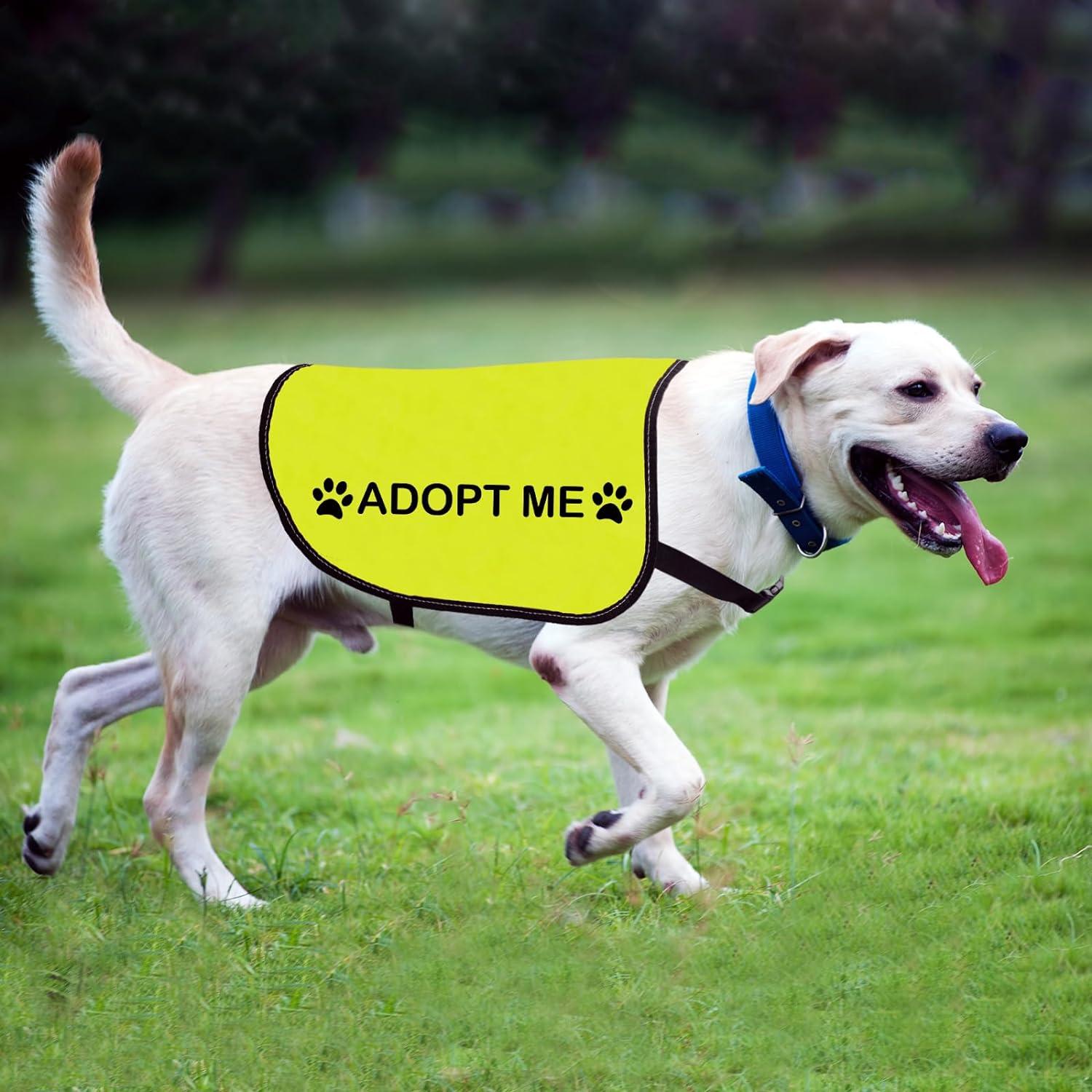 Rescue Dog Jacket Vest Adopt Me Dog Vest Foster Dog Slogan Vest (Adopt ...