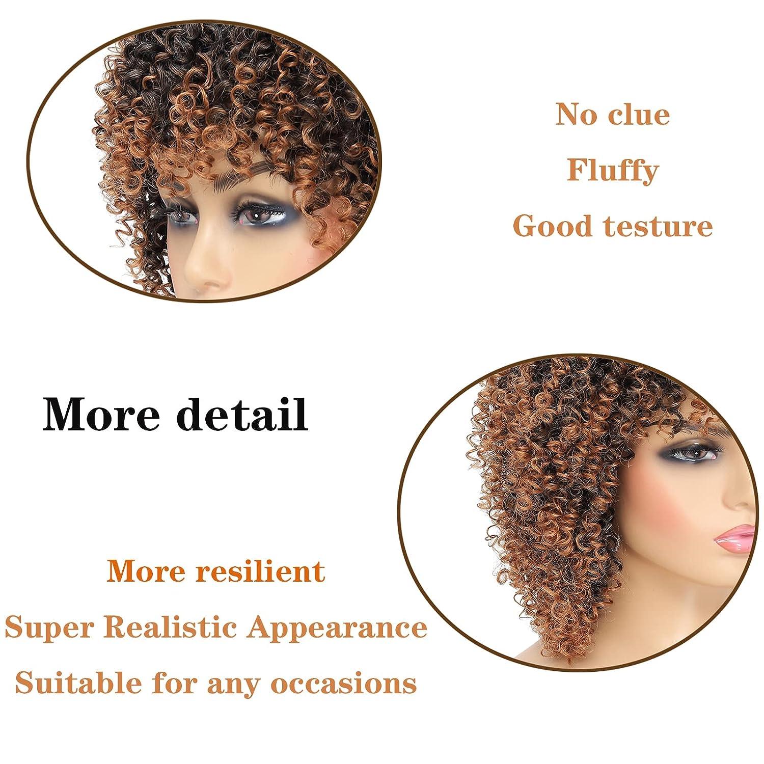 Fallsea Curly Afro Braided Wig T30 - Synthetic Wig for Black Women ...