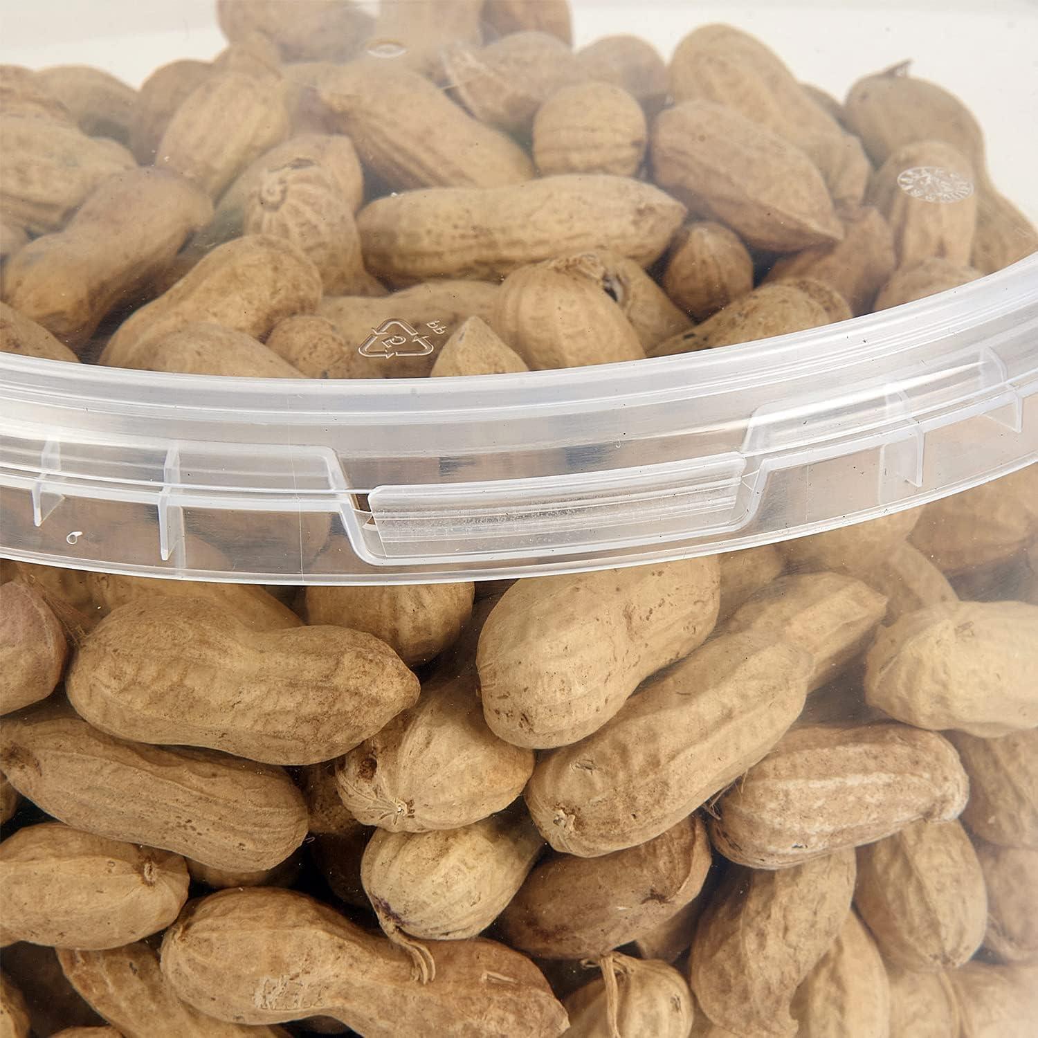 Premium Peanuts In Shell Monkey Nuts 3L Tub | Buy Now with Express ...