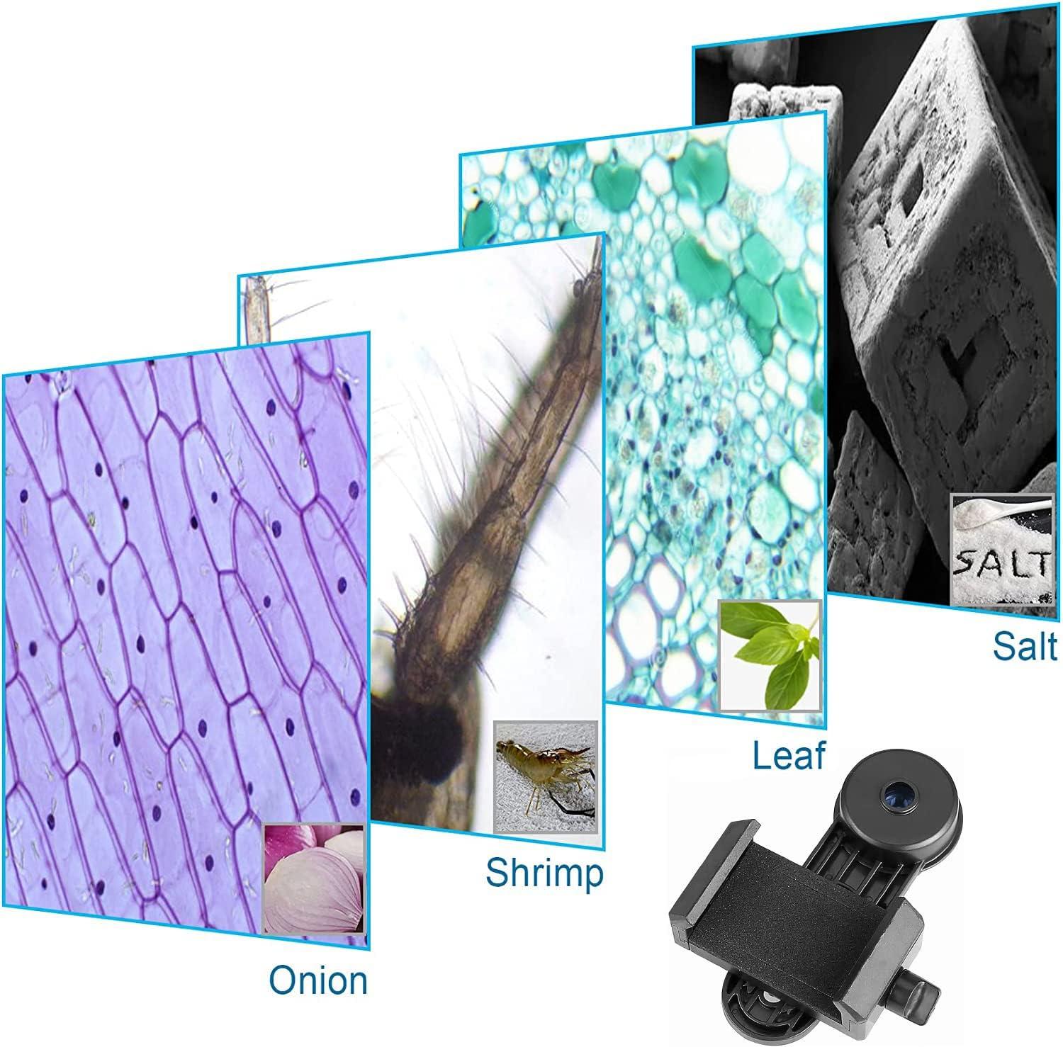 Celticbird Microscope Smartphone Camera Adapter | Built-in WF 16X ...