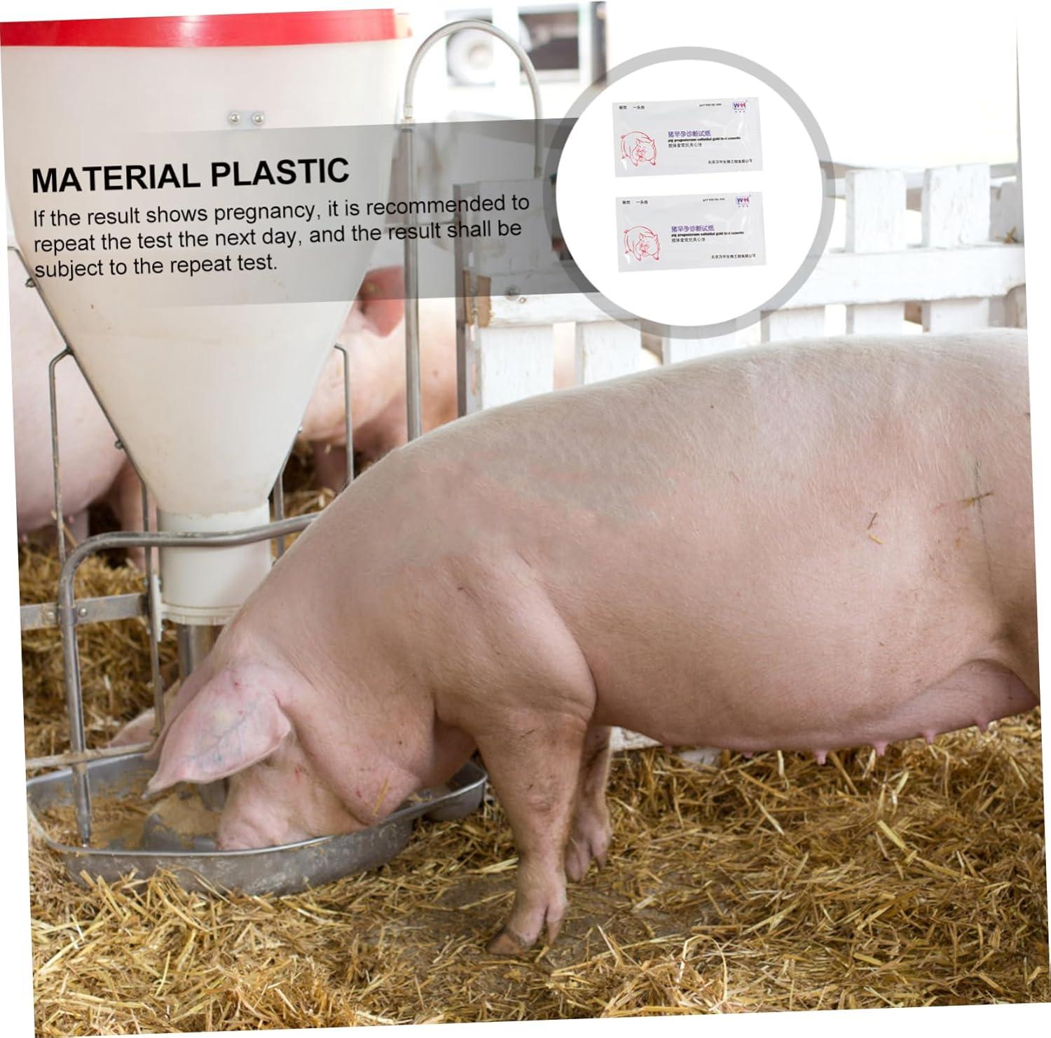 Magiclulu 4-Piece Pregnant Tester Kit | Farm-Test Tools for Pregnancy ...