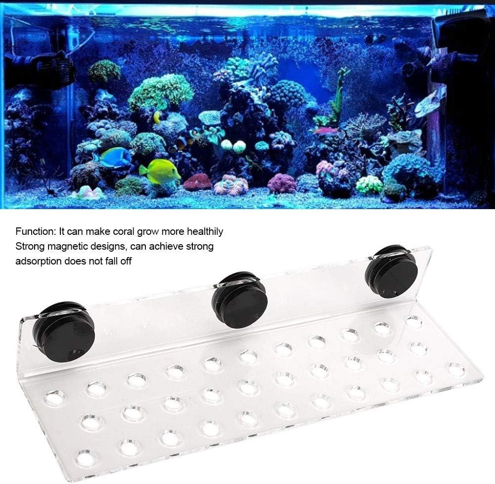 Zerodis Aquarium Coral Rack Bracket - Acrylic Frag Rack with Strong ...