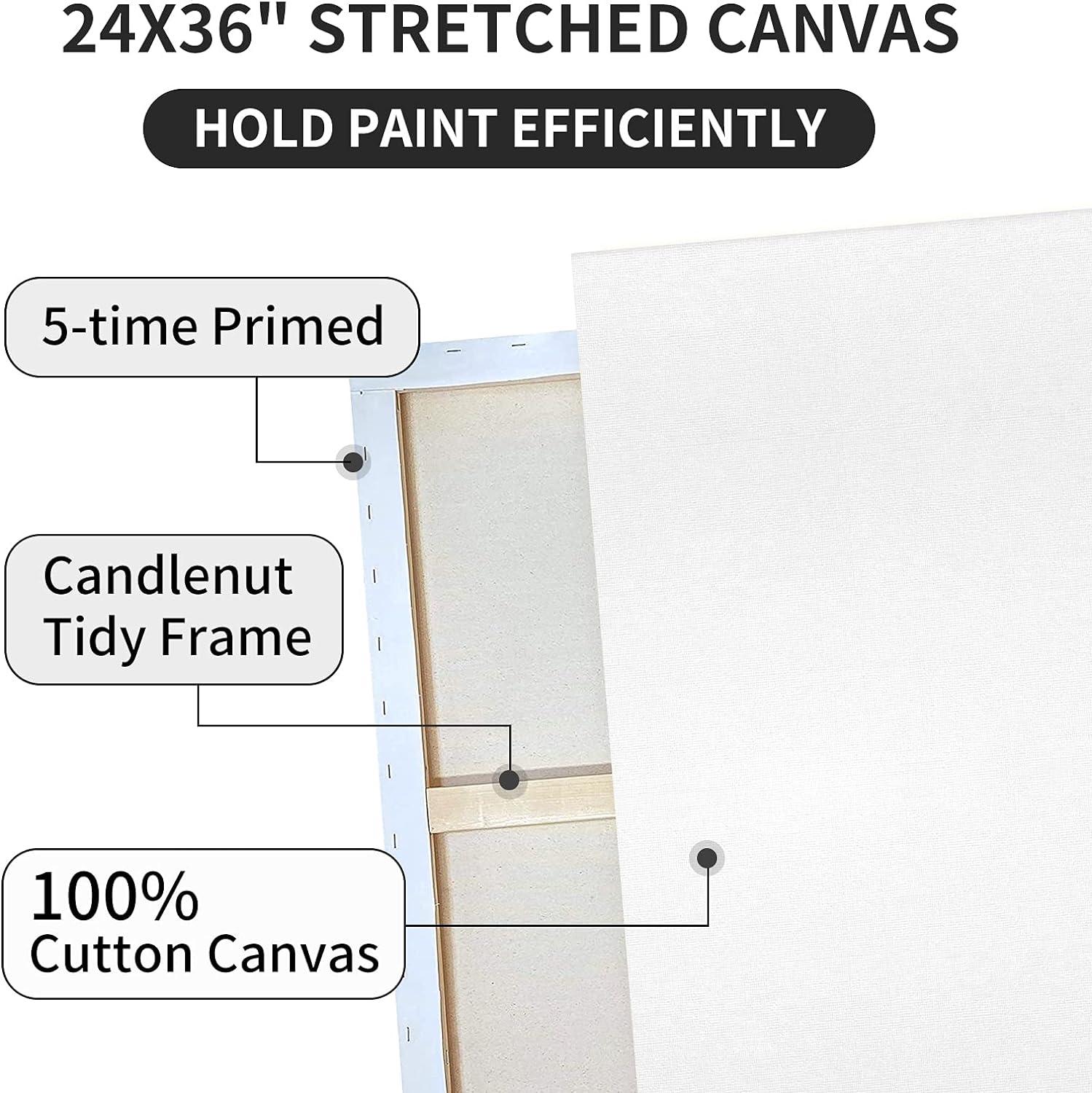 24x36 Pre Stretched Canvases 2 Pack - Large Blank Canvas Boards for ...