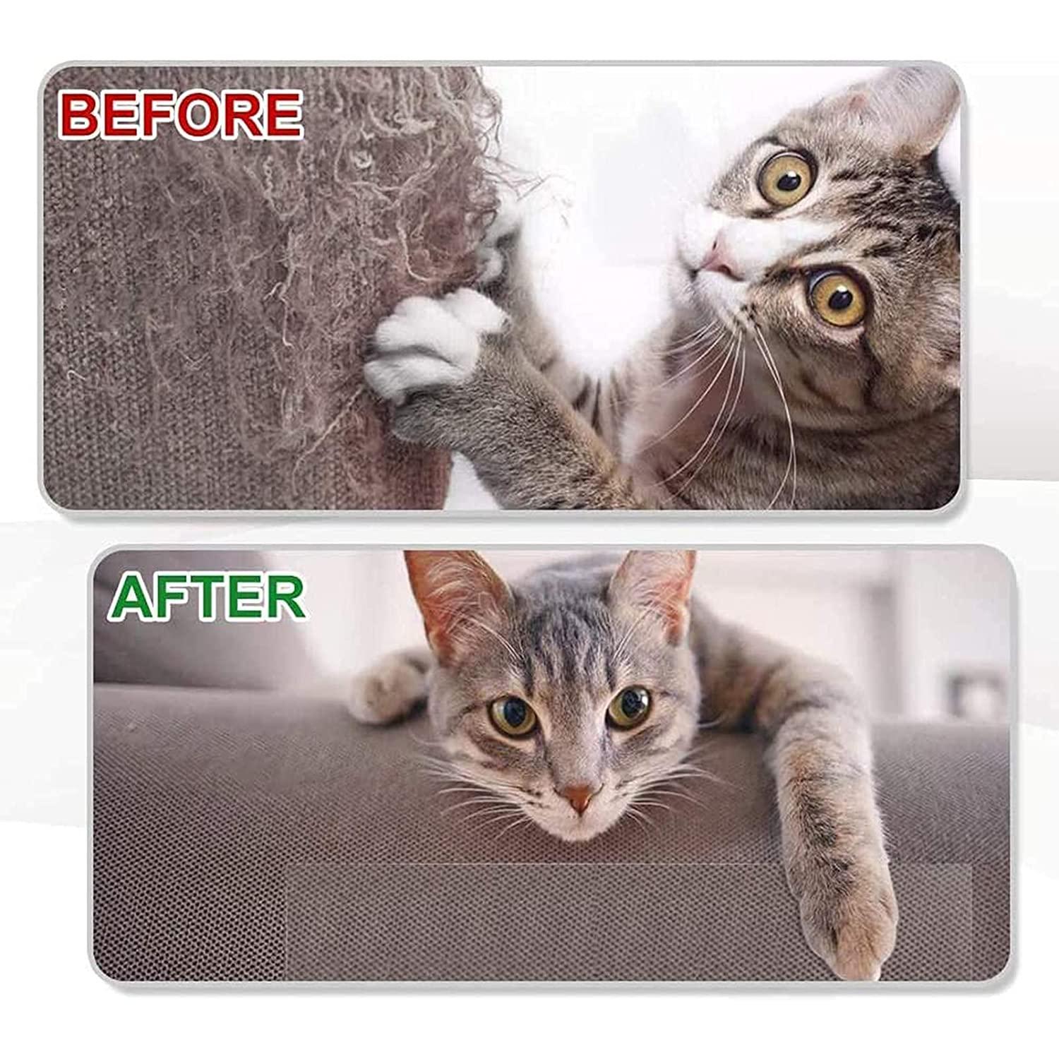 Edge Control Gel - Super Shine, Moisture, Flake-Free for Braiding | Buy Now with Express ...