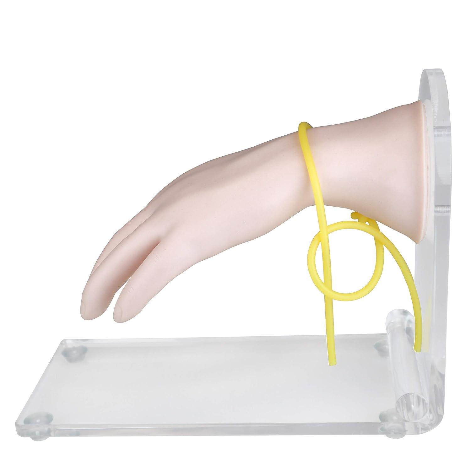 Science Resource E09630 Advance Opisthenar I.V. Injection Hand Model ...