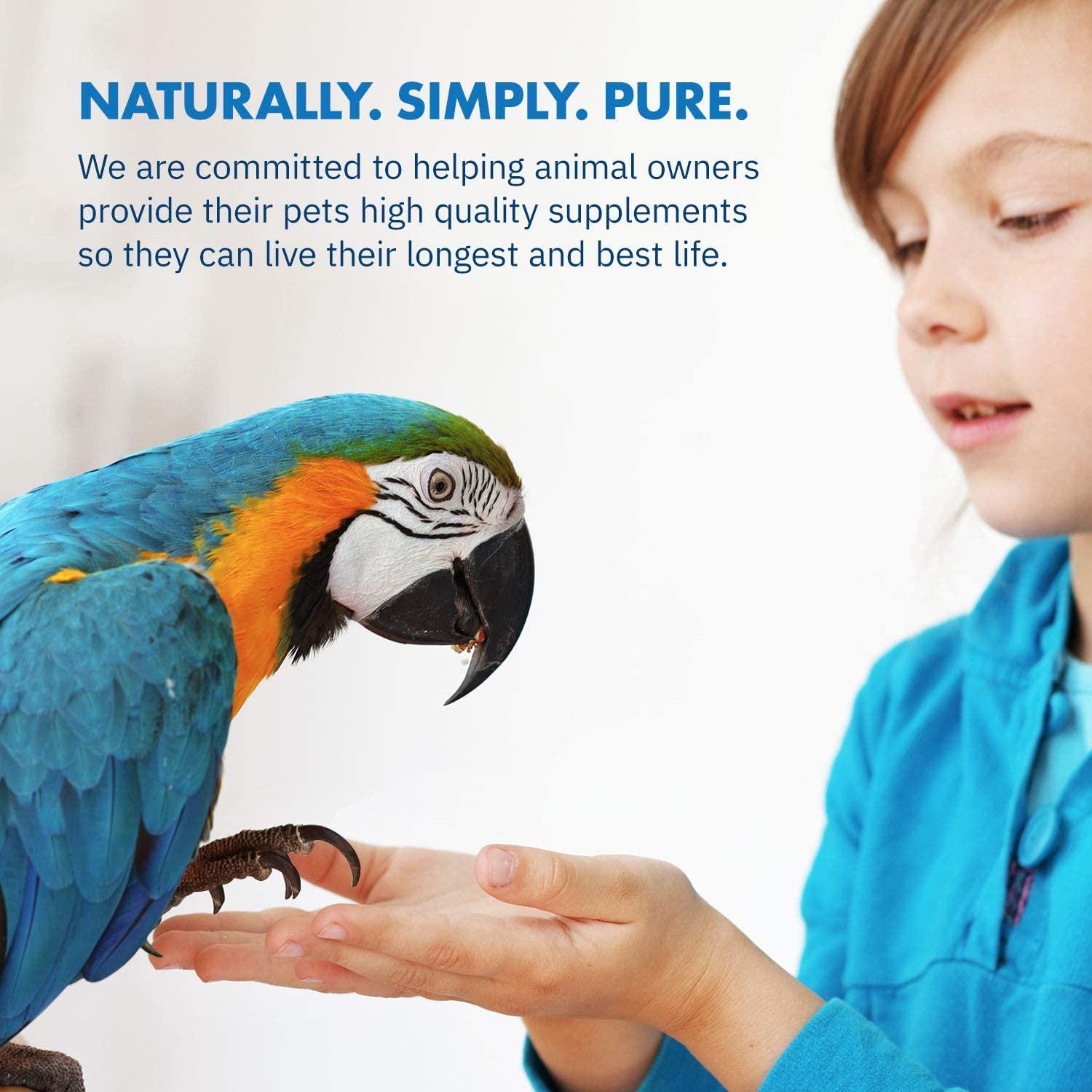 Avian Probiotics for Parrots | All-Natural Digestive System Support ...