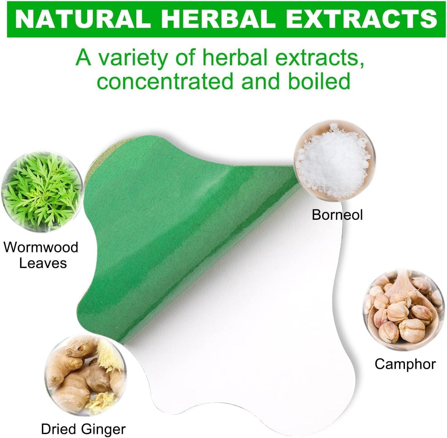 Flexiback Lumbar Spine Pain Relief Plaster - Natural Back Pain Relief ...