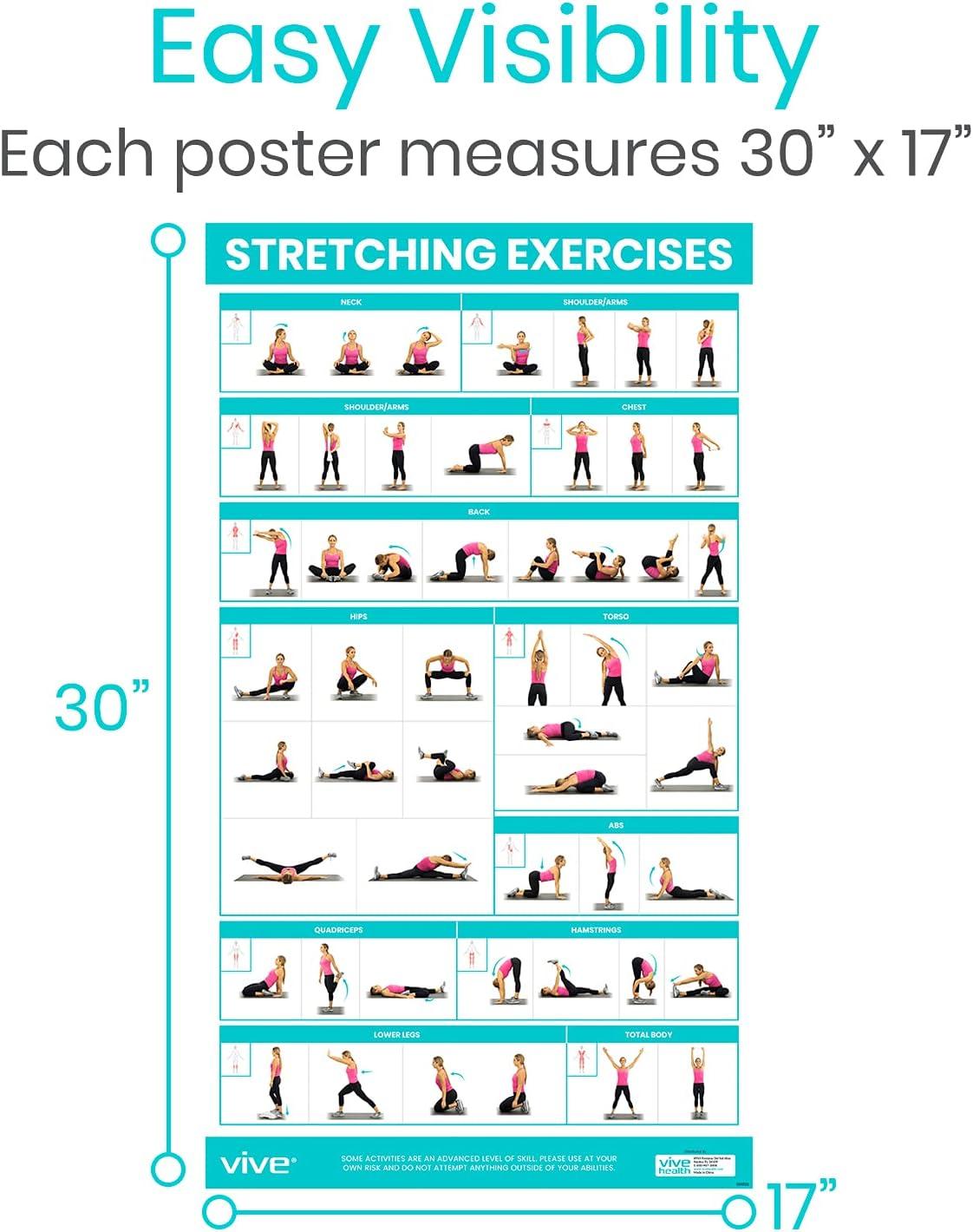 Flexibility Exercises Chart