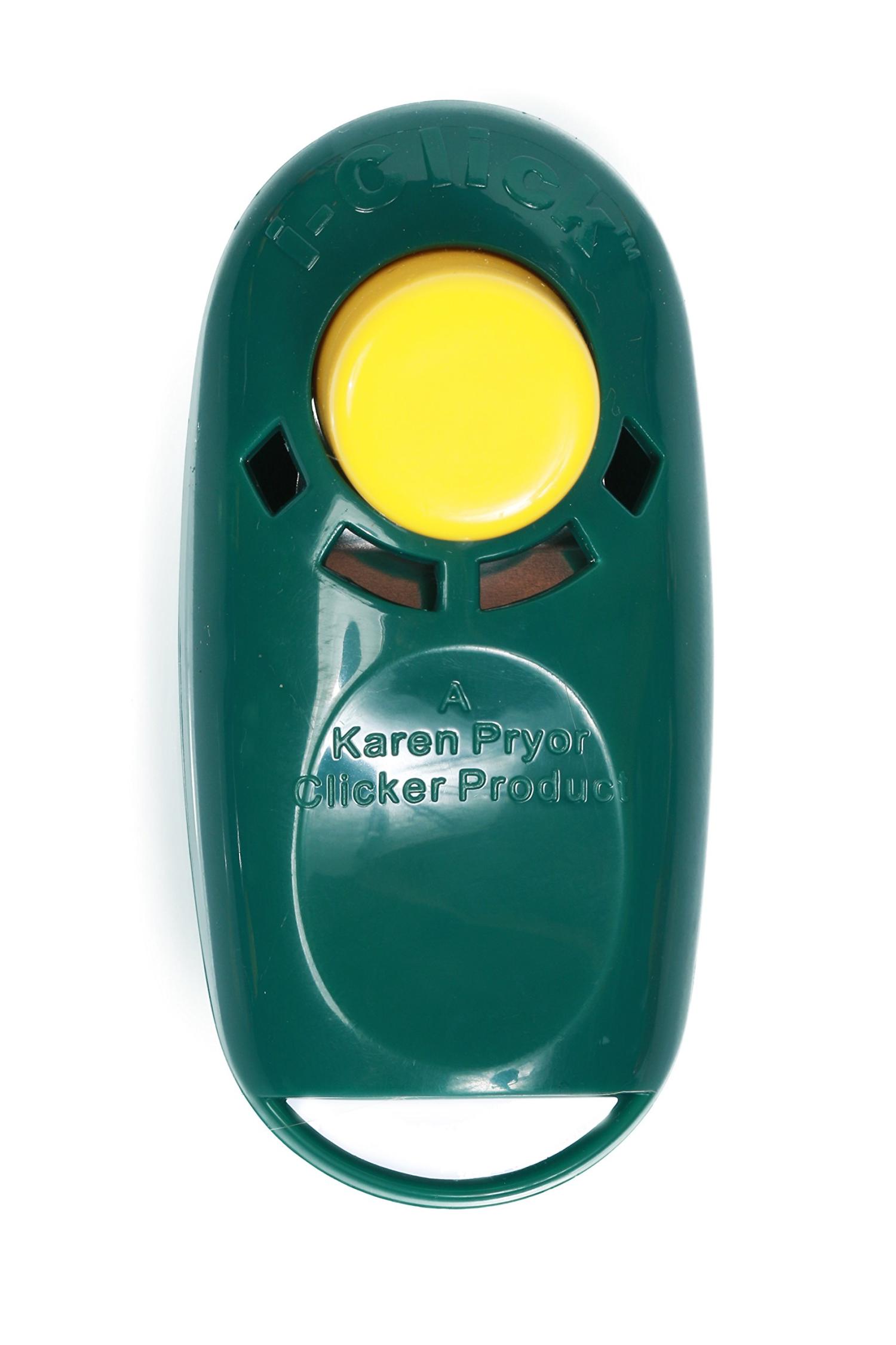Buy i-Click Karen Pryor Clicker - Green | Best International Shipping ...