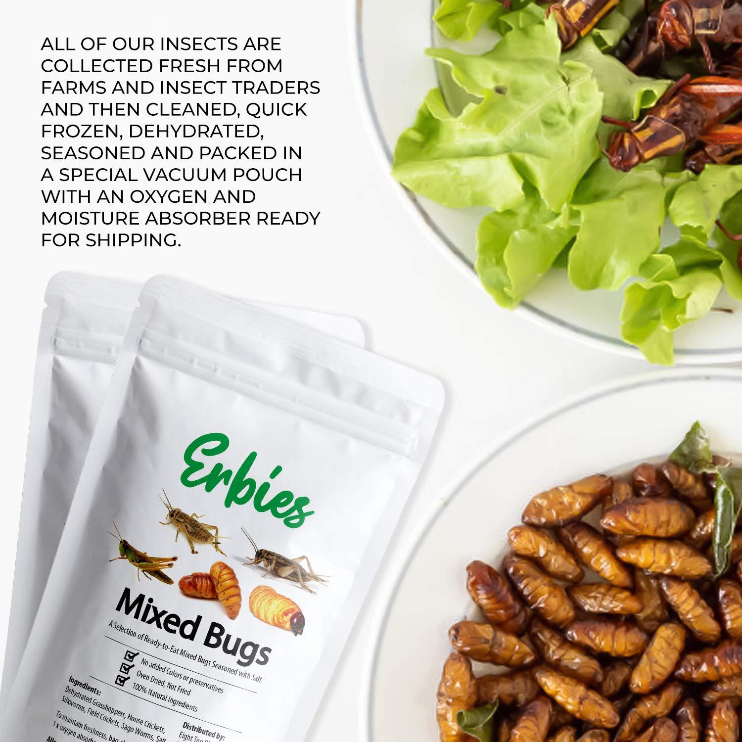 Erbies Edible Bugs Mixed Trail Mix 15g Bag - Seasoned Crunchy Insects ...