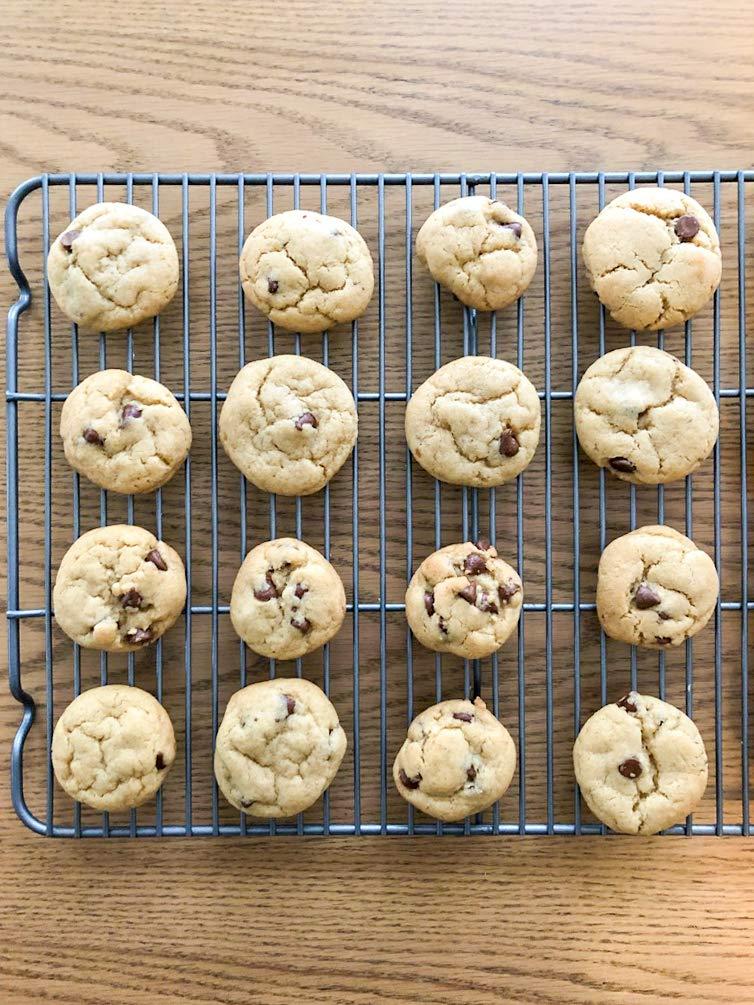 Chocolate Chip Cricket Cookie Mix with Cricket Flour - Delicious and ...