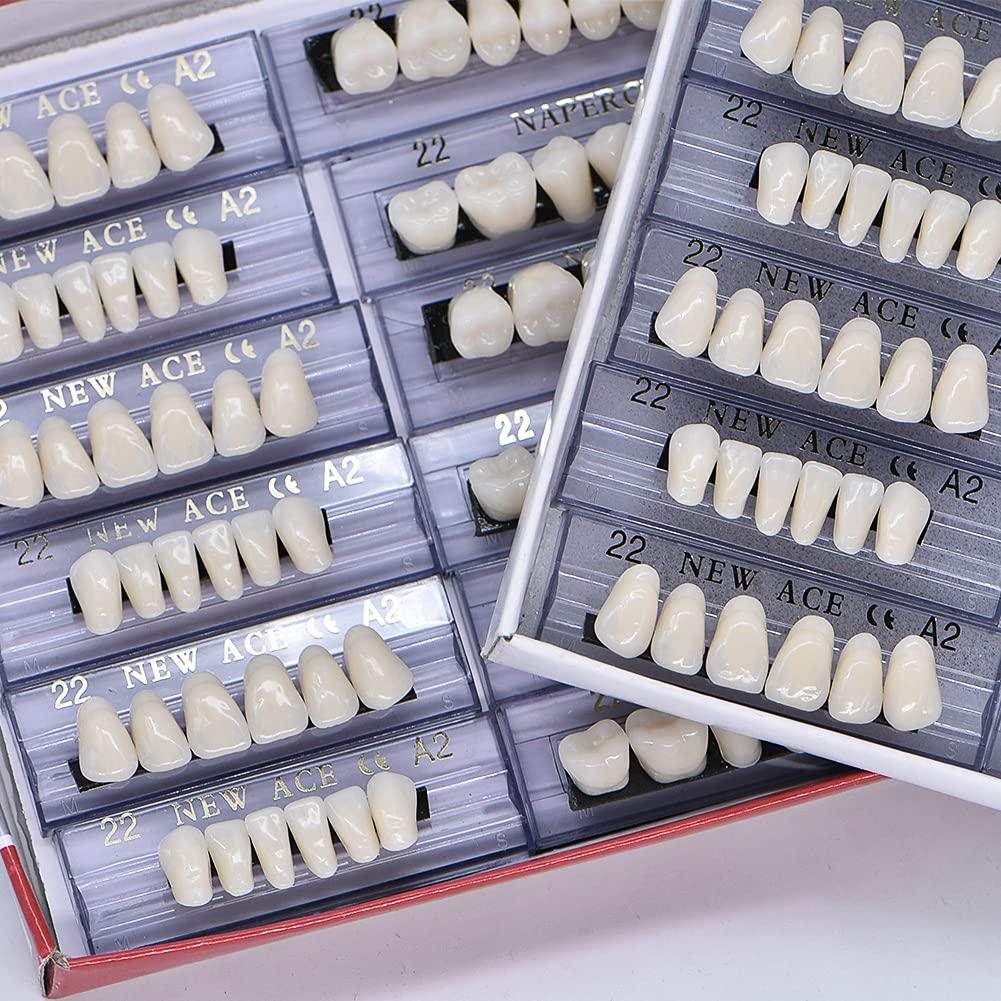 Dental Synthetic Resin Tooth Denture Set - 168 Pcs, 22 A2 Upper Lower ...