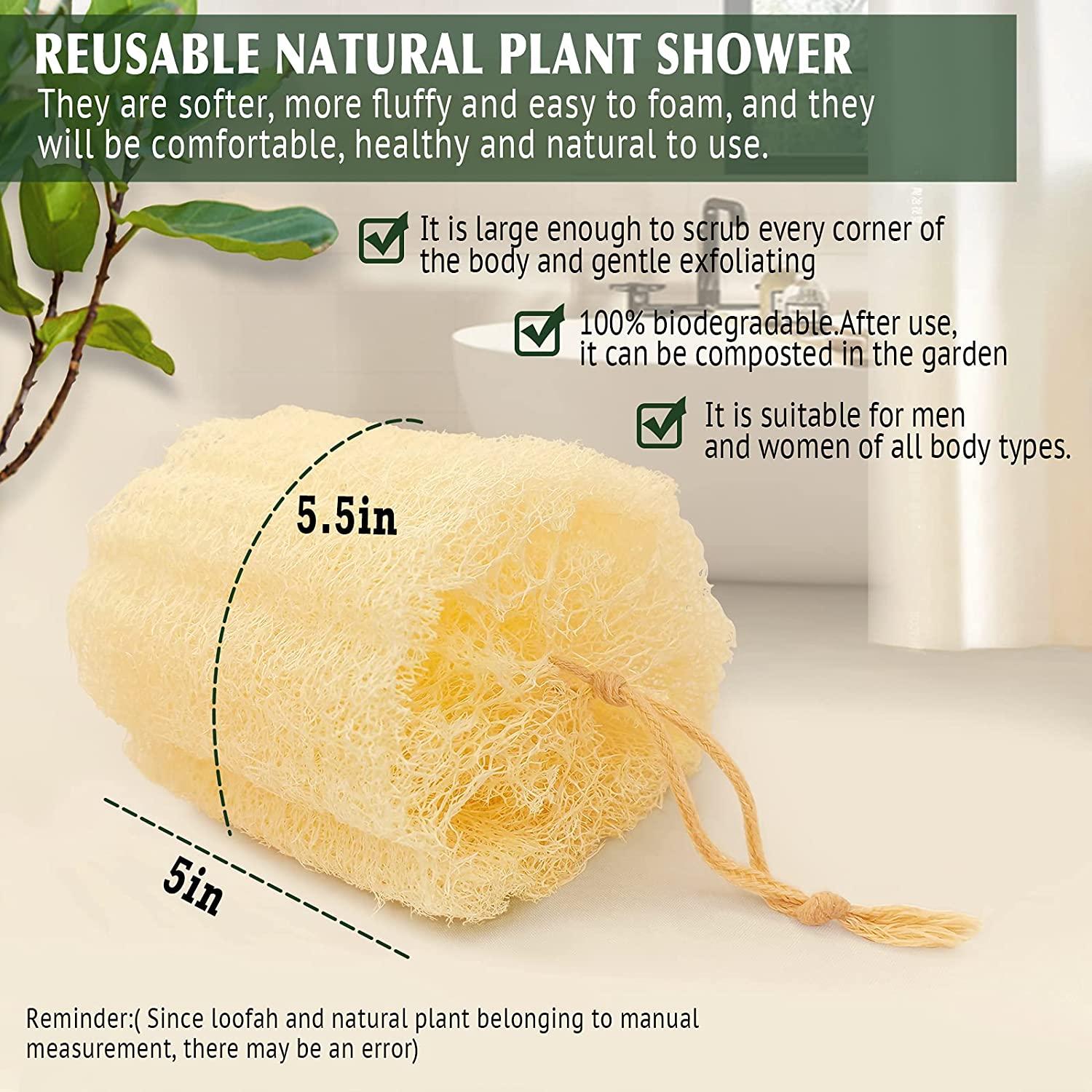 Natural Shower Loofah Sponge - Bath Exfoliating Body Scrubber - Soft ...