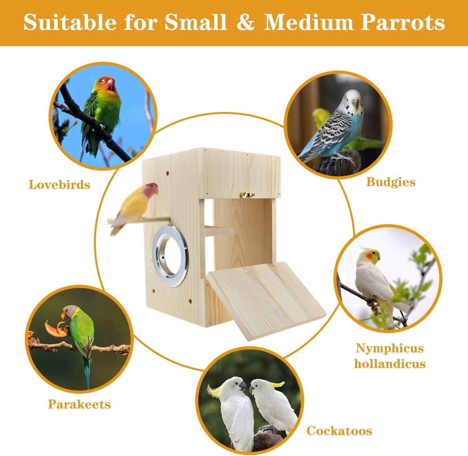 CooShou Parakeet Nest Box - Wooden Acrylic Transparent Breeding House ...