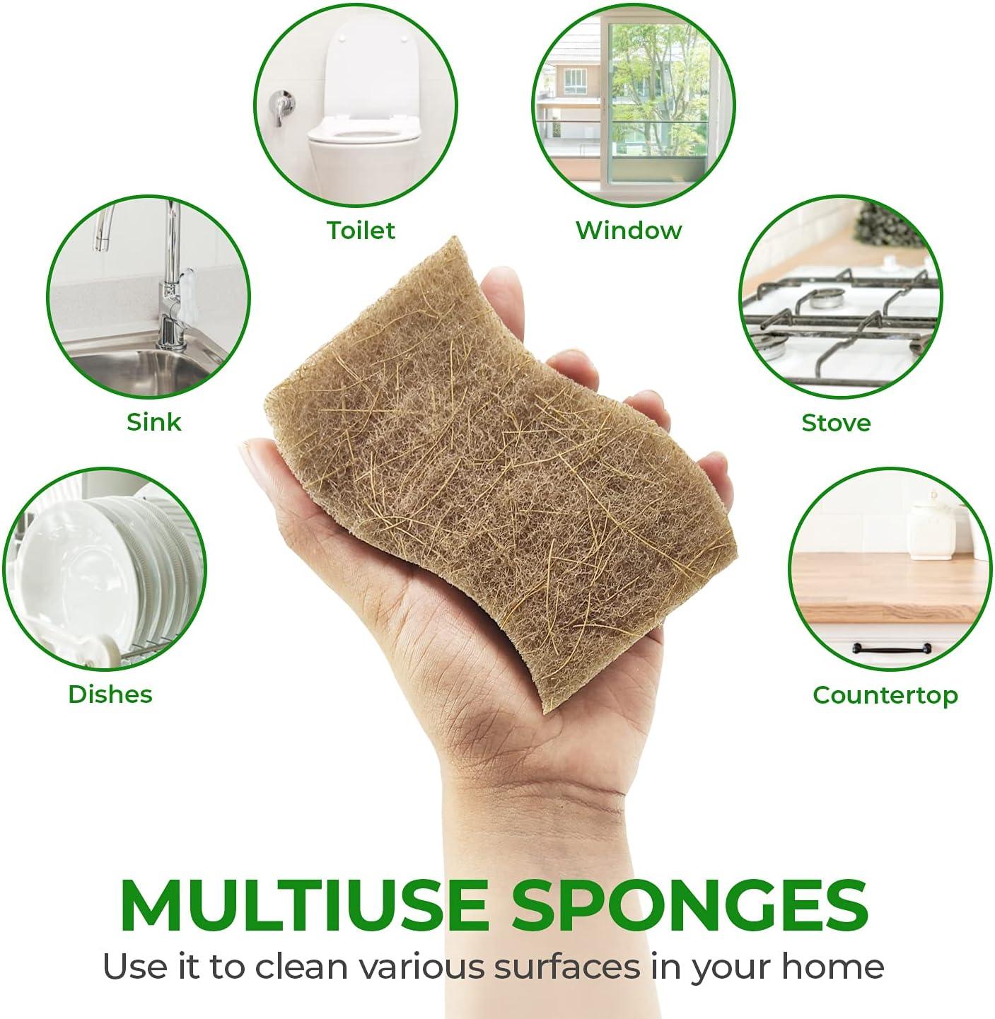 AIRNEX Biodegradable Natural Kitchen Sponge - Pack of 12 Eco Friendly ...