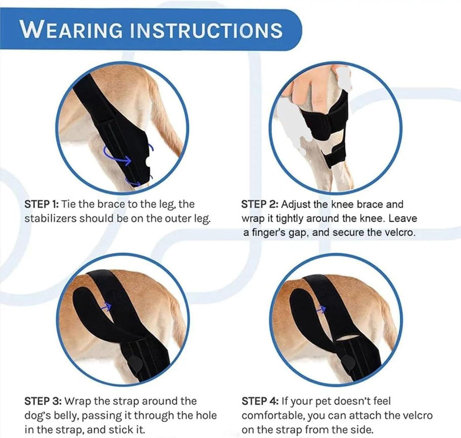 Dog ACL Knee Brace - Brace Behind Leg - Rear Leg Stabilizer for Small ...